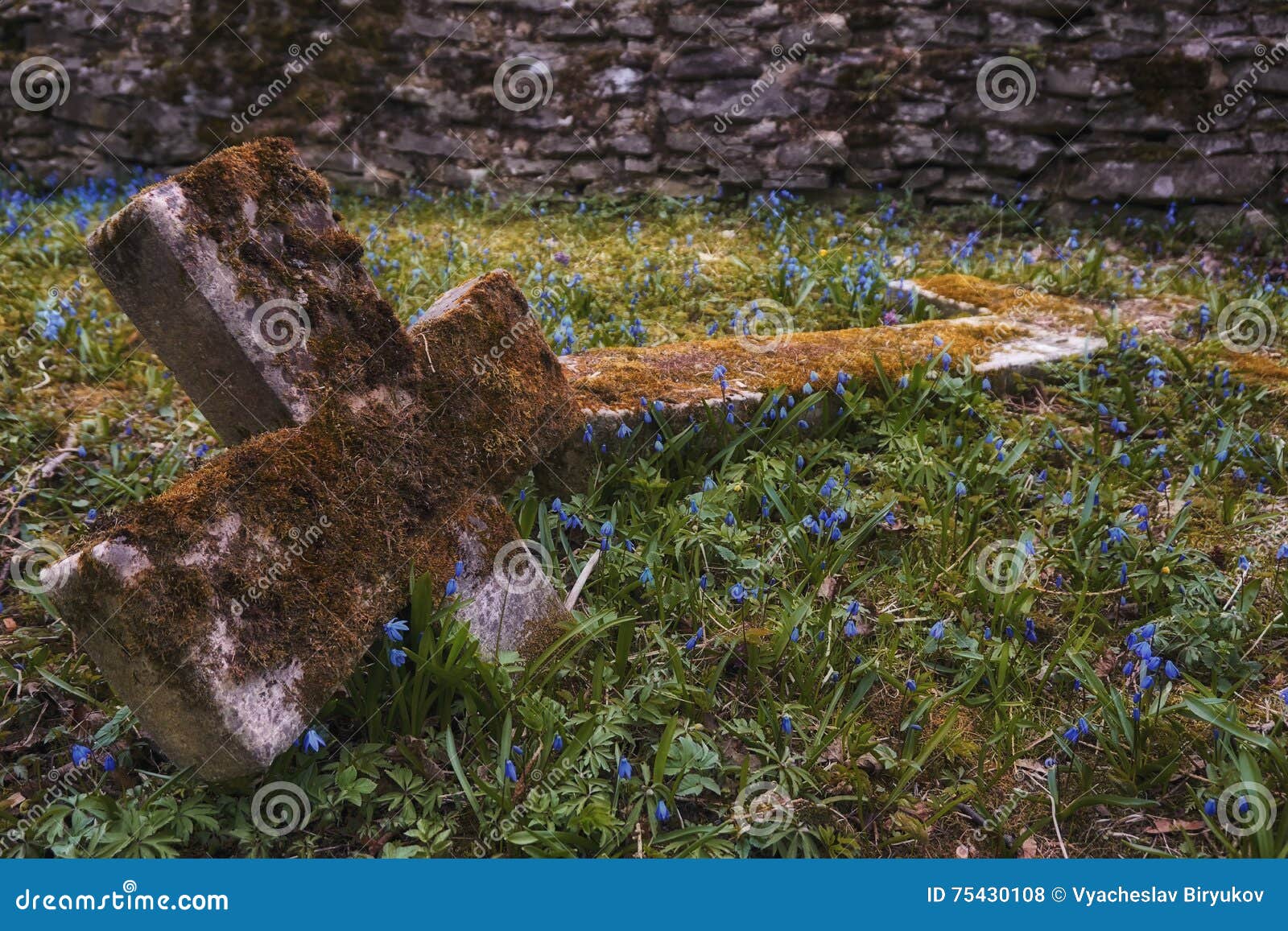 Old cross stock photo. Image of grass, flower, fantasy - 75430108