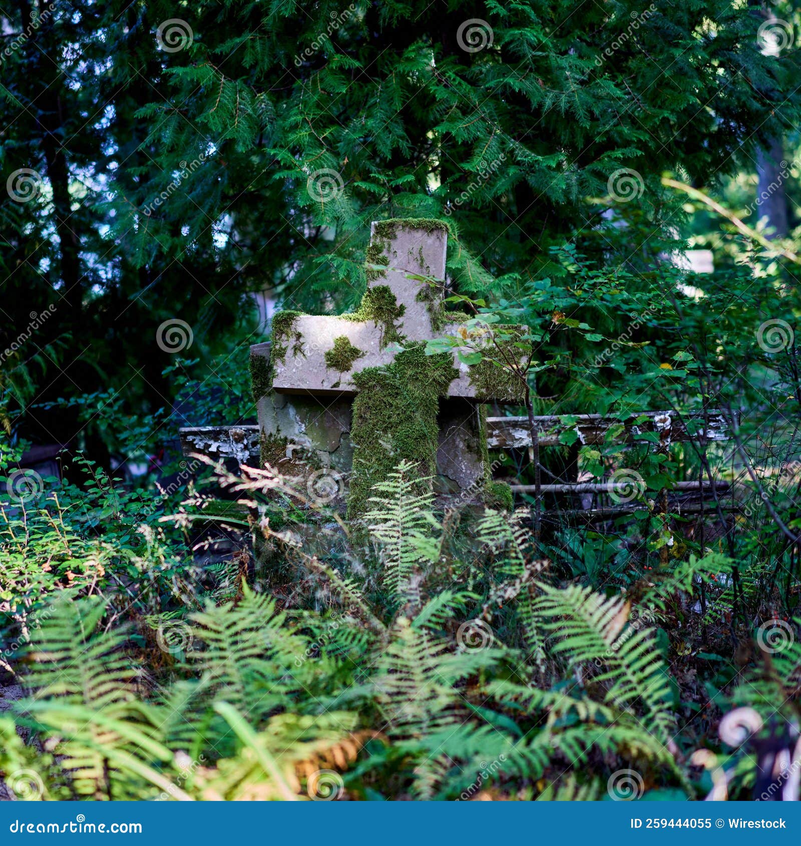 Old Cross on a Grave Covered by Moss in an Old Cemetery Stock Image ...