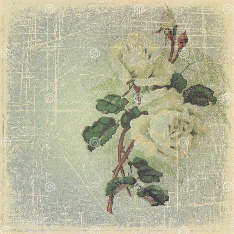 Old Crumpled Paper with Roses Stock Illustration - Illustration of ...