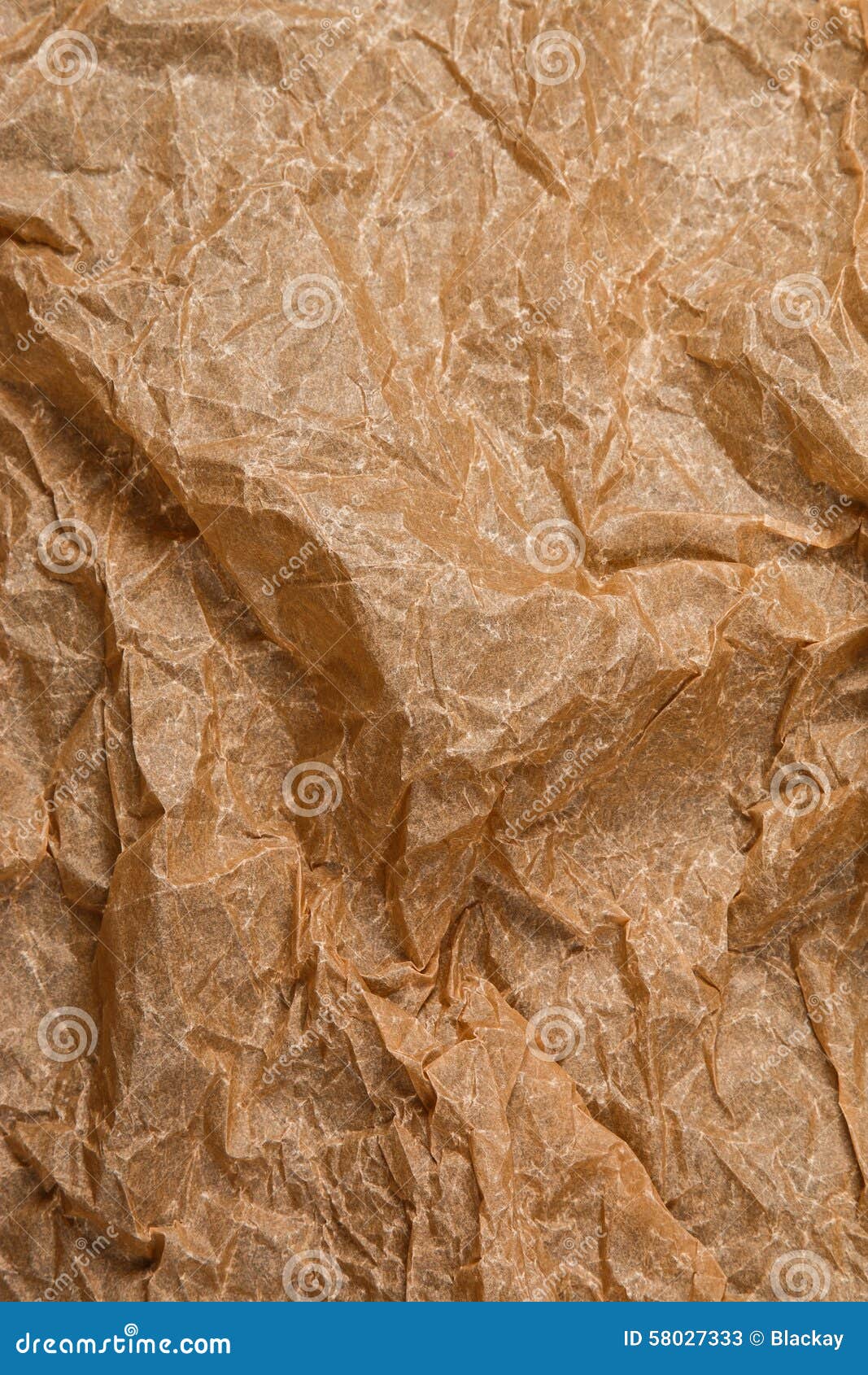 Old crumpled paper stock image. Image of page, crumpled - 58027333