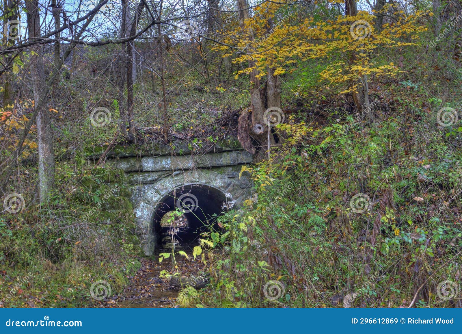 Old Culvert in Autumn in Eastern Ohio Stock Image - Image of nature ...