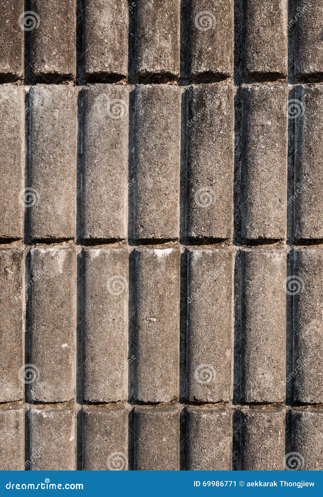 Cylinder Concrete Specimens In Mold For Compressive Strength. Royalty ...