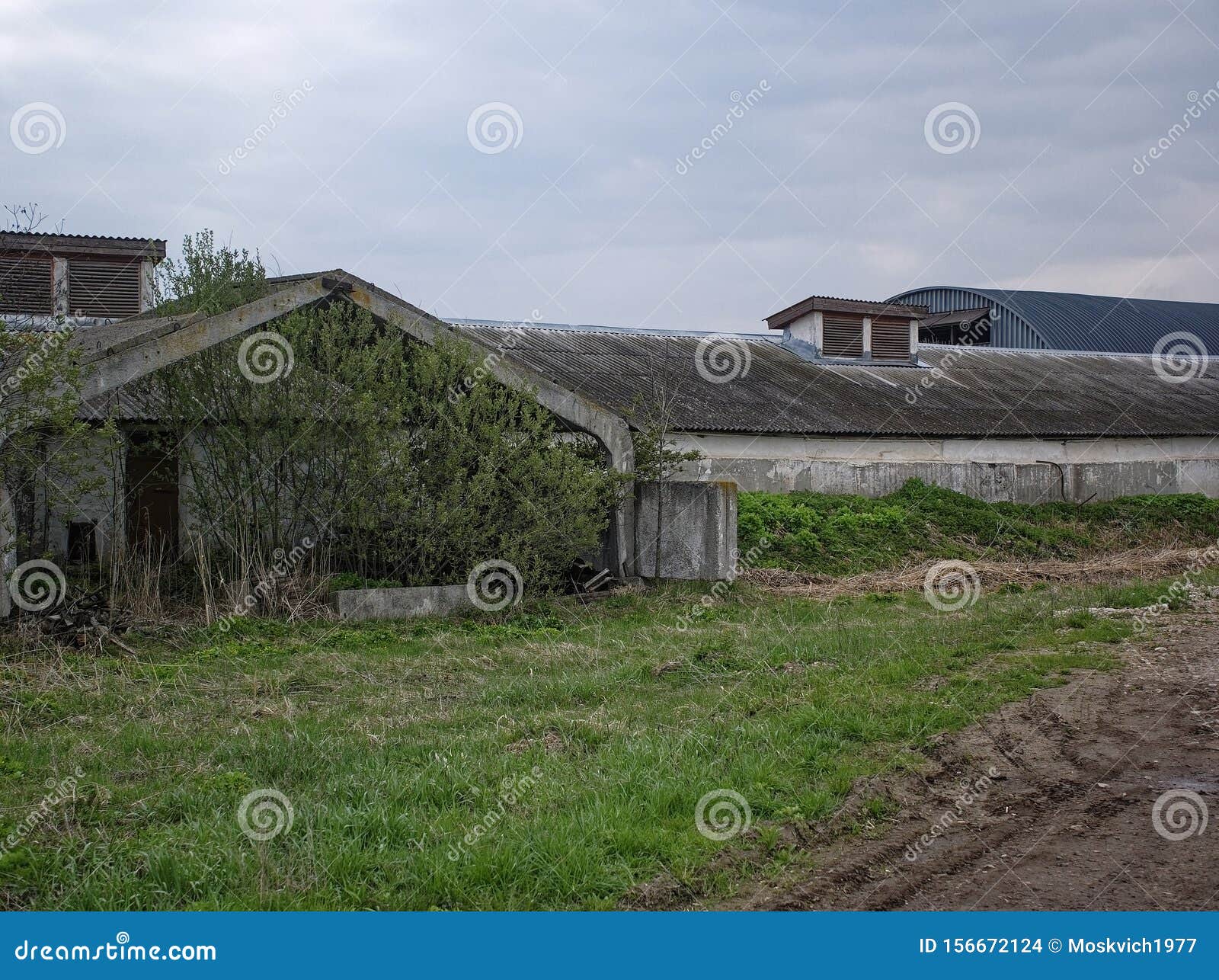 Old dairy farm in spring stock photo. Image of country - 156672124