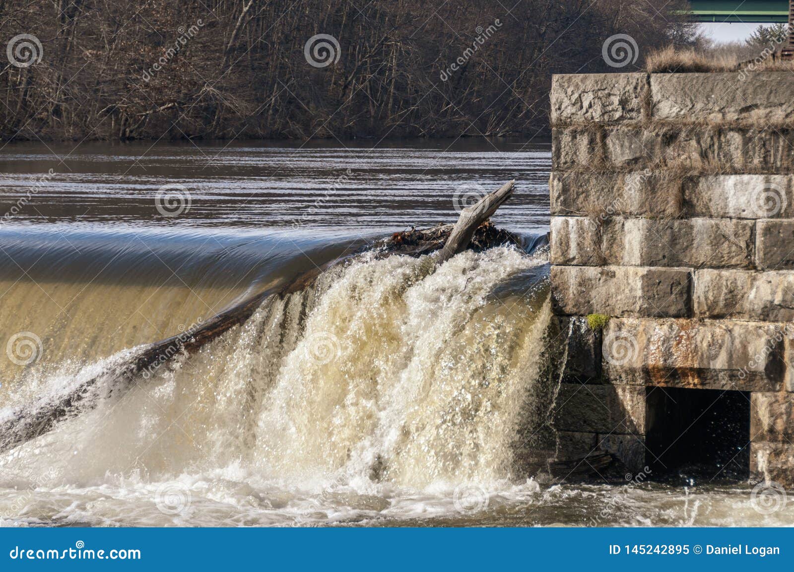 Trees Trapped by Old Dam on Blackstone River Stock Image - Image of ...