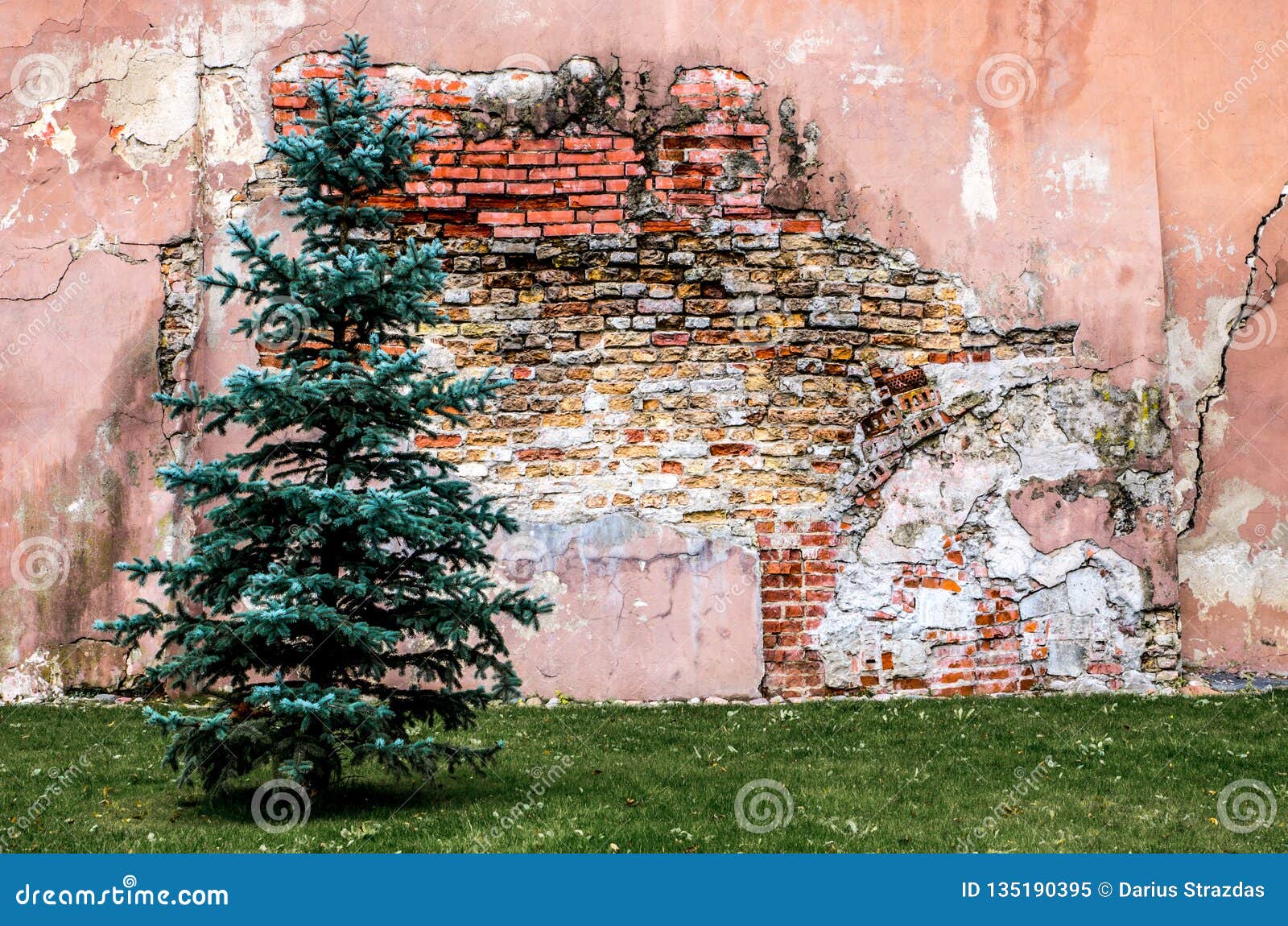 Old Damaged Brick Wall and a Tree Stock Image - Image of brown, wall ...