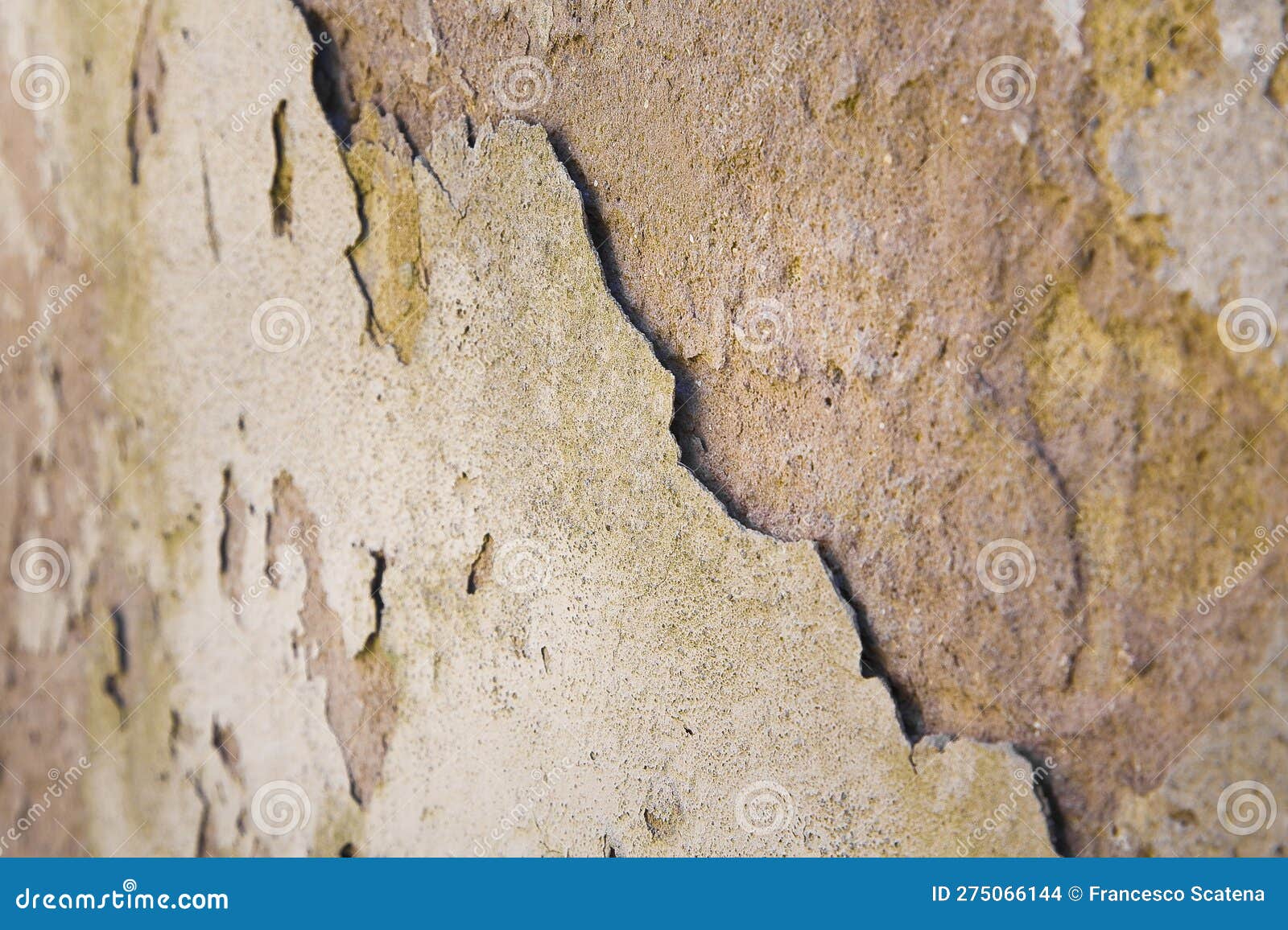 Old Damaged and Damp Cement Plaster that Detaches from the Masonry ...