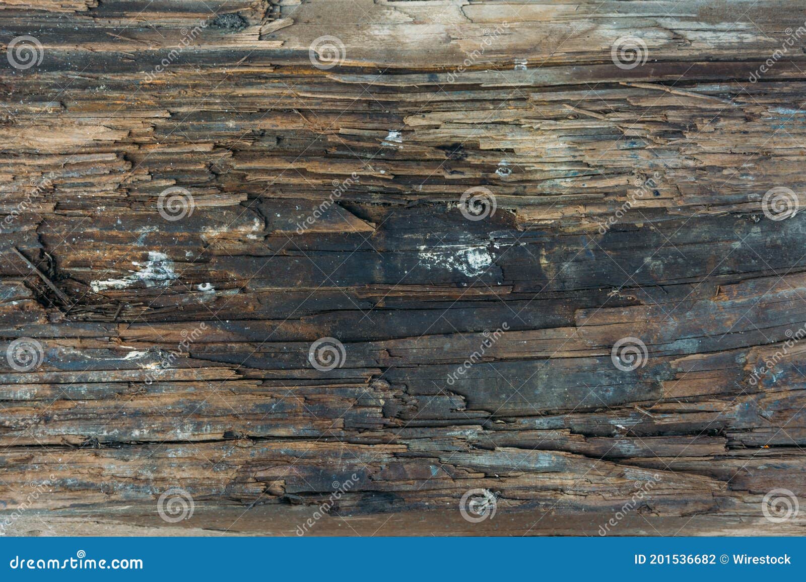 Old Damaged Tree Bark Texture for Backgrounds Stock Photo - Image of ...