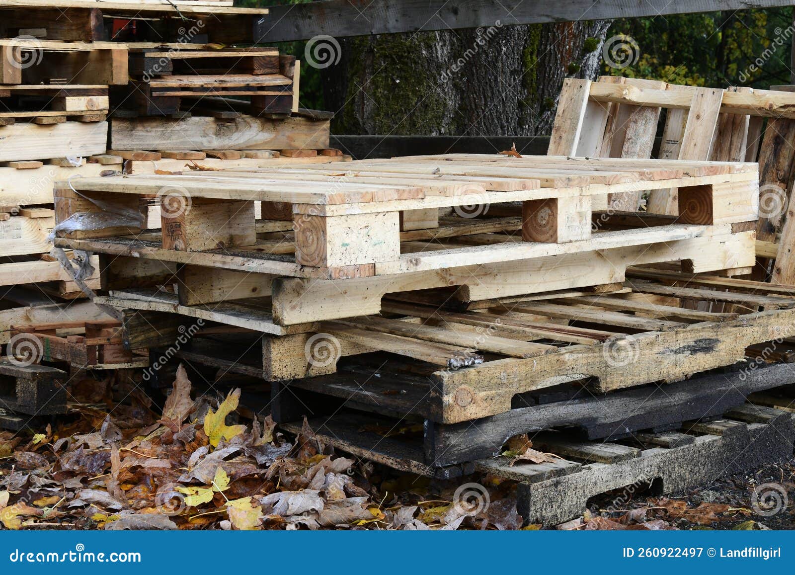 Old Damaged Wooden Pallets stock image. Image of industrial - 260922497