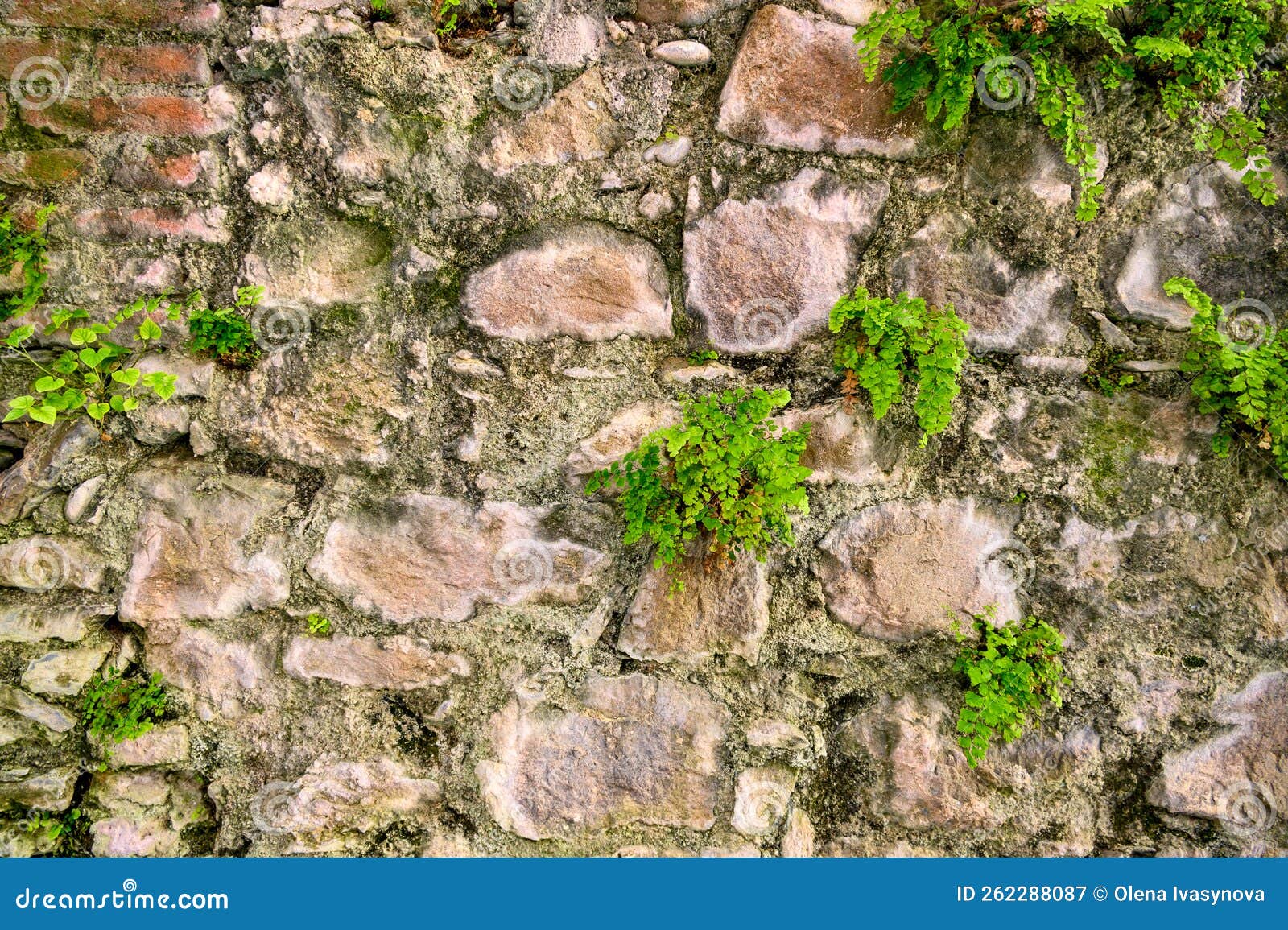 An Old Damp Wall Composed of Various Types and Sizes of Stones and ...