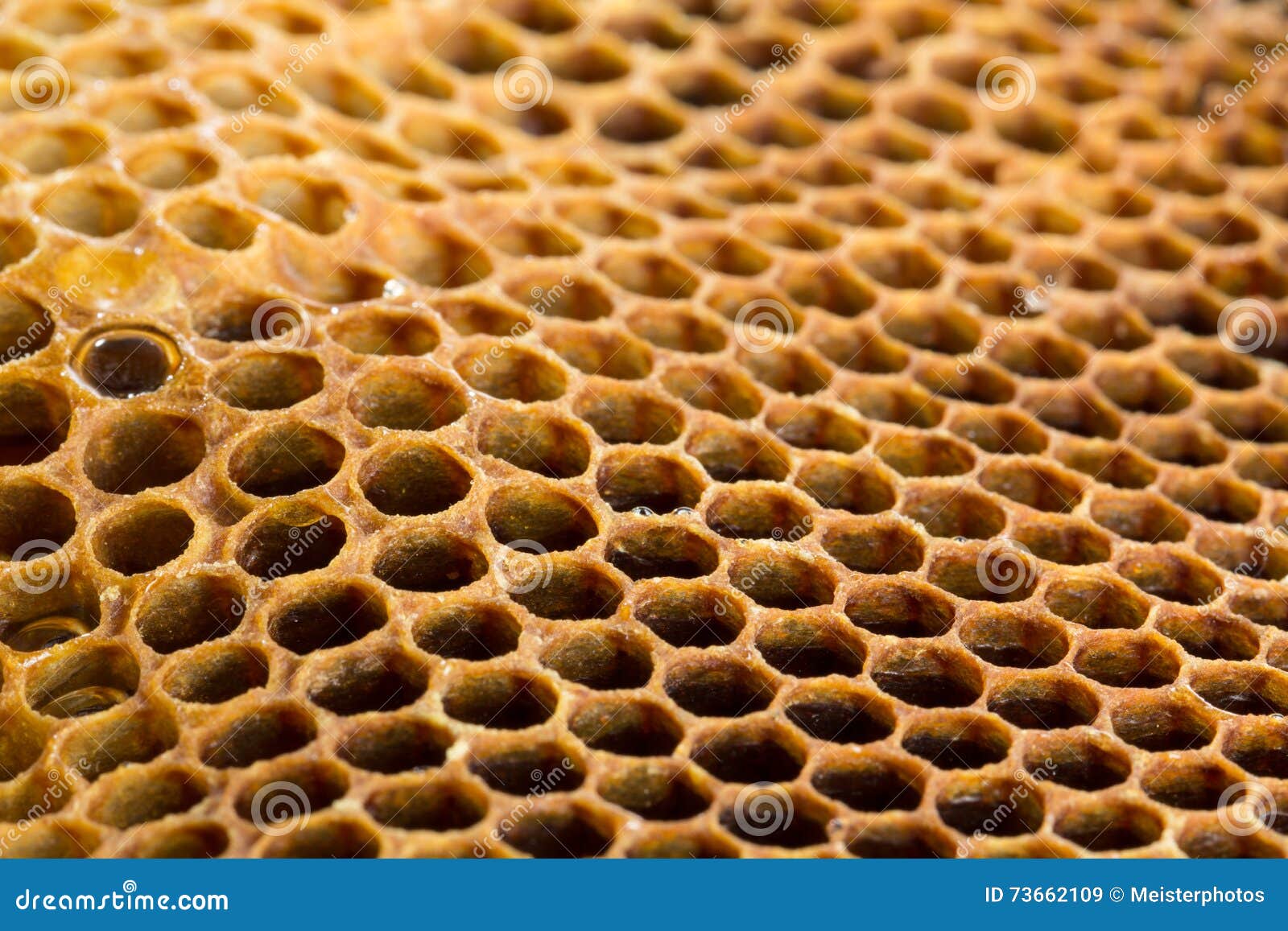 Old Dark Brood Comb Background Stock Image - Image of hive, beeswax ...