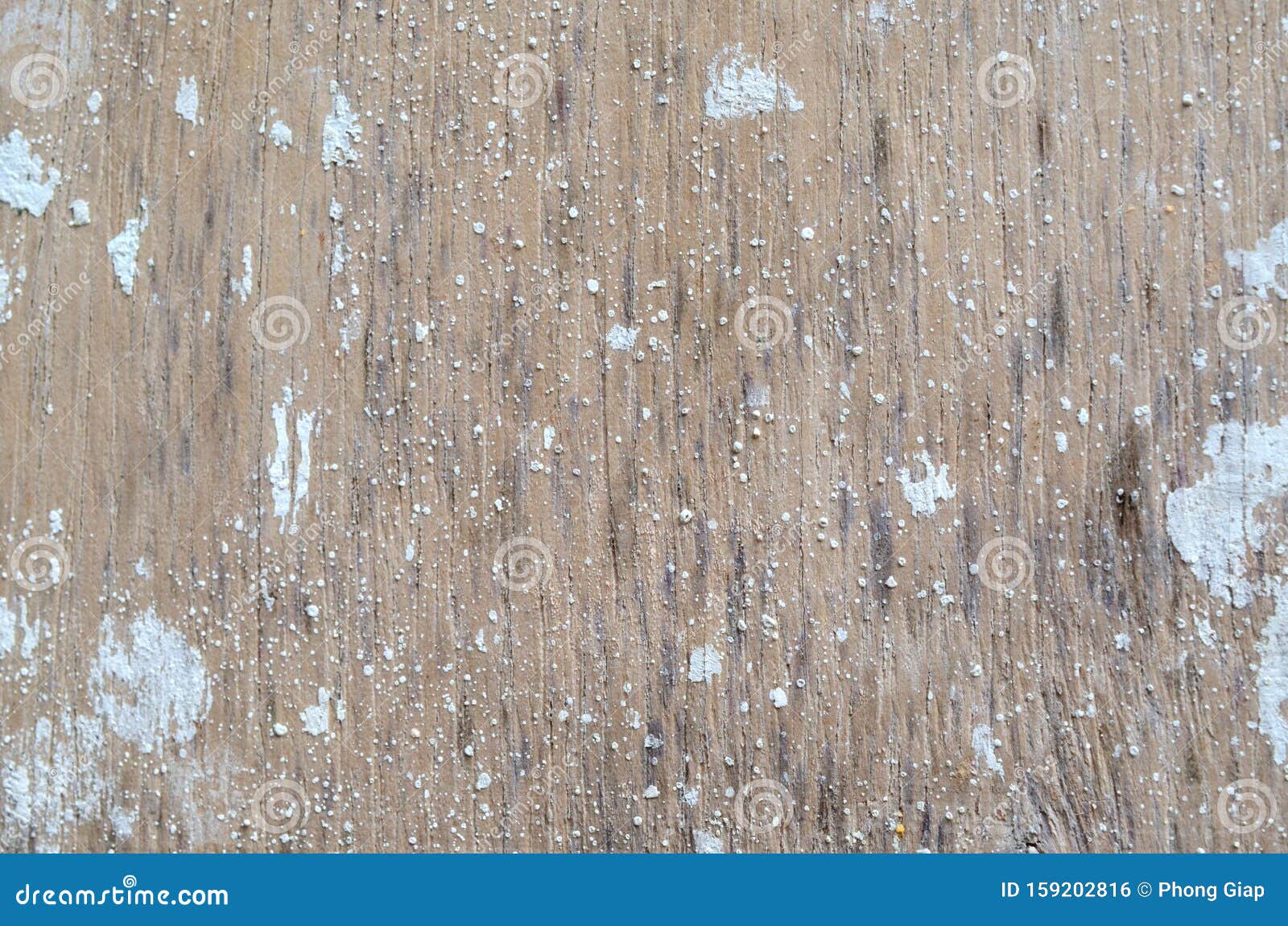 Old Dark Wood Plaque Texture. Stock Photo - Image of plank, graphic ...