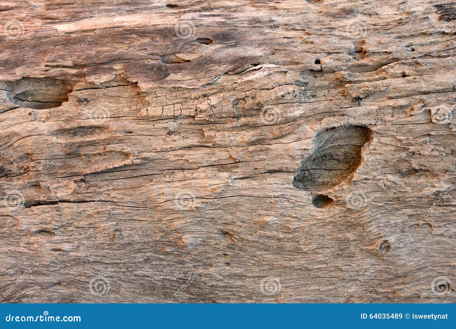 Old and decay wood texture stock image. Image of abstract - 64035489