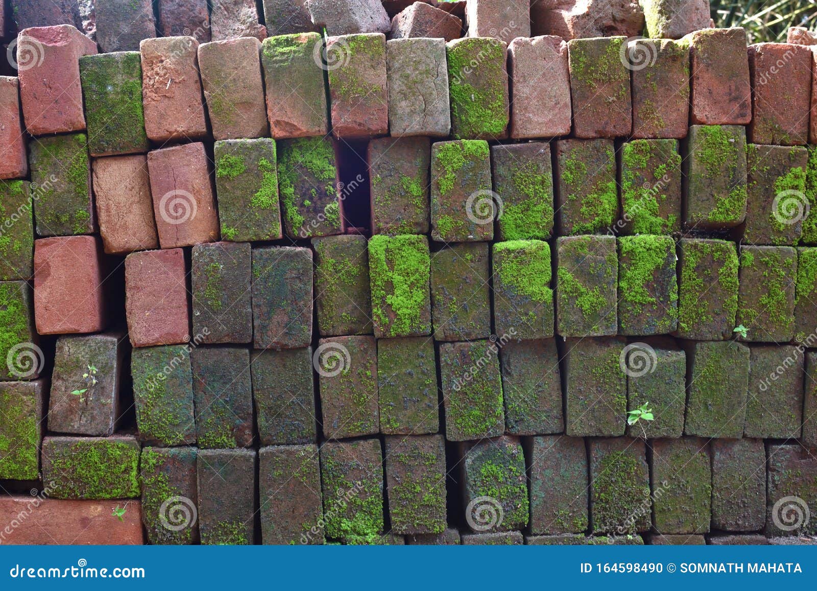 An Old Decayed Brick Wall Has Plants Growing on it and Pieces of the ...