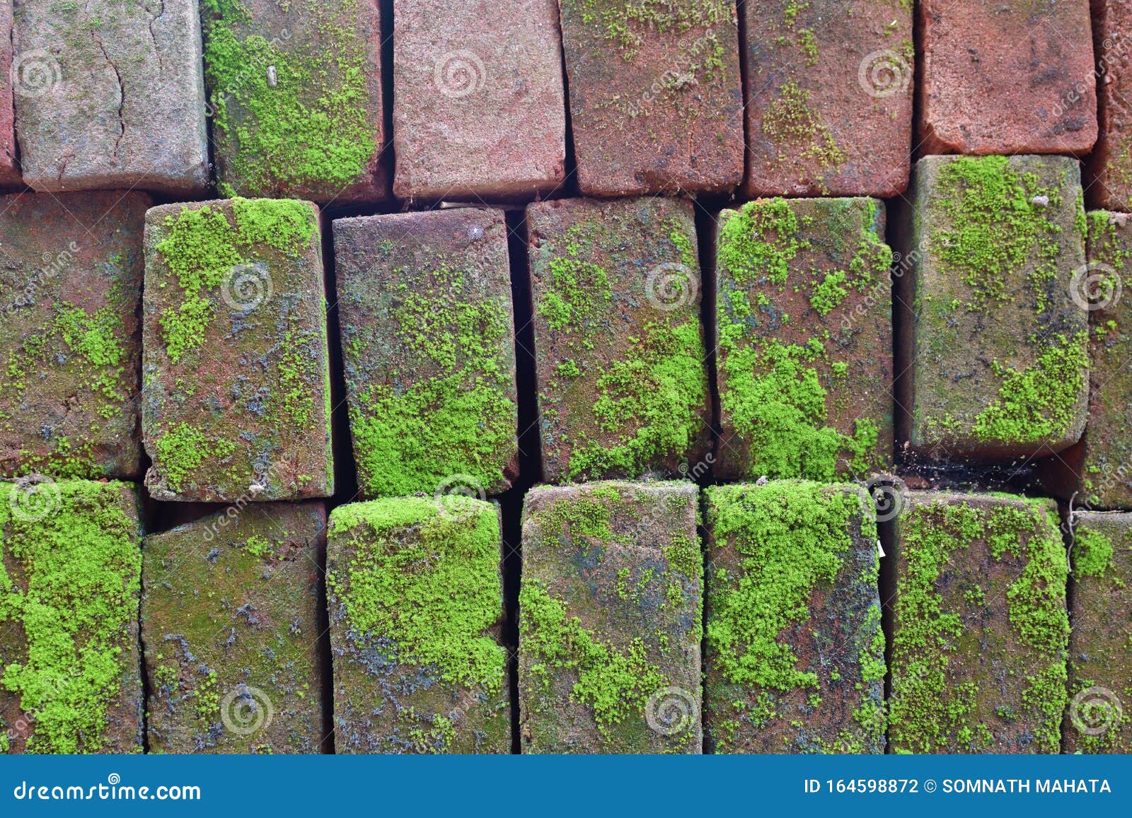 An Old Decayed Brick Wall Has Plants Growing on it and Pieces of the ...