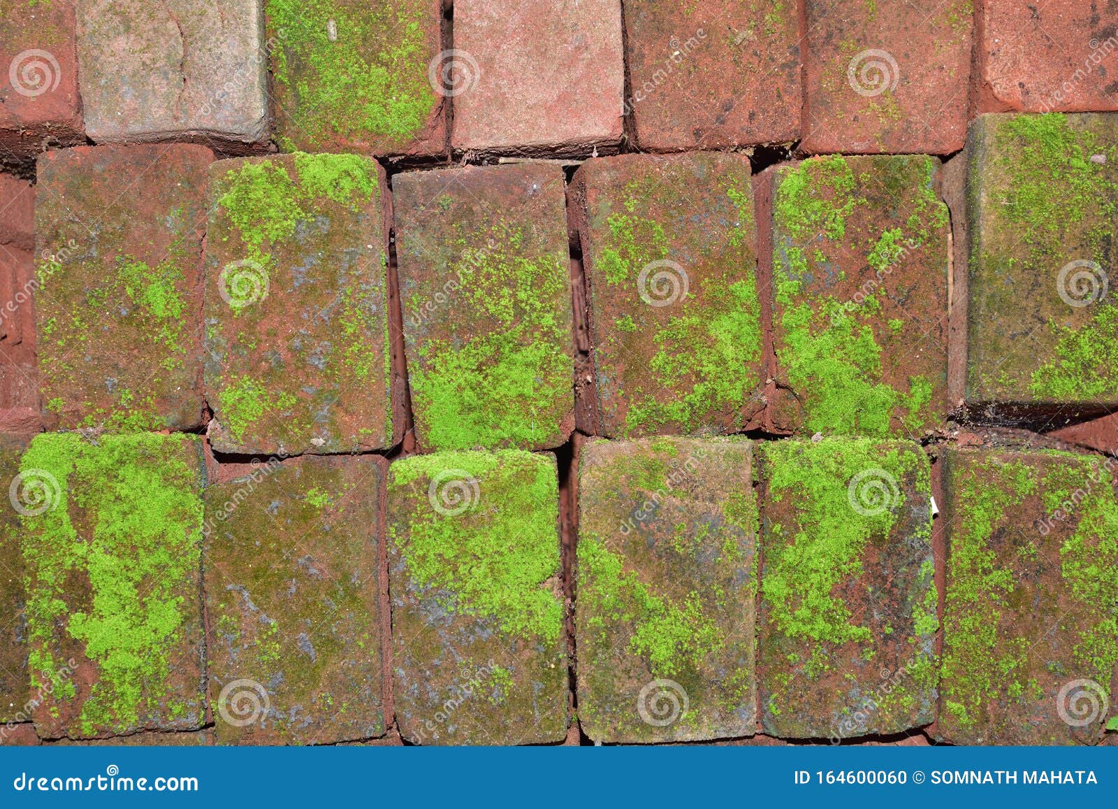 An Old Decayed Brick Wall Has Plants Growing on it and Pieces of the ...