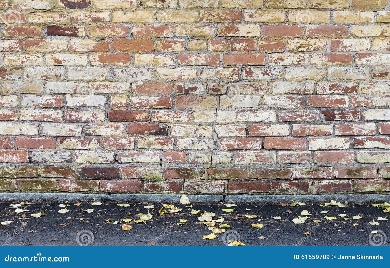Old decayed brick wall stock image. Image of leaf, tarmac - 61559709