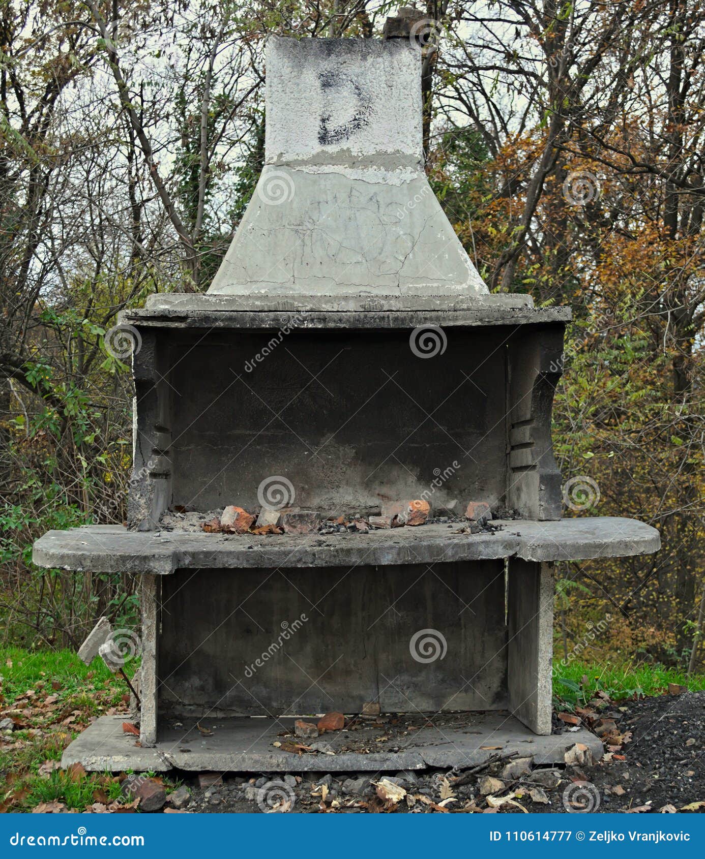 Barbecue. A Place For A Campfire For Cooking. The Firewood Ignites ...