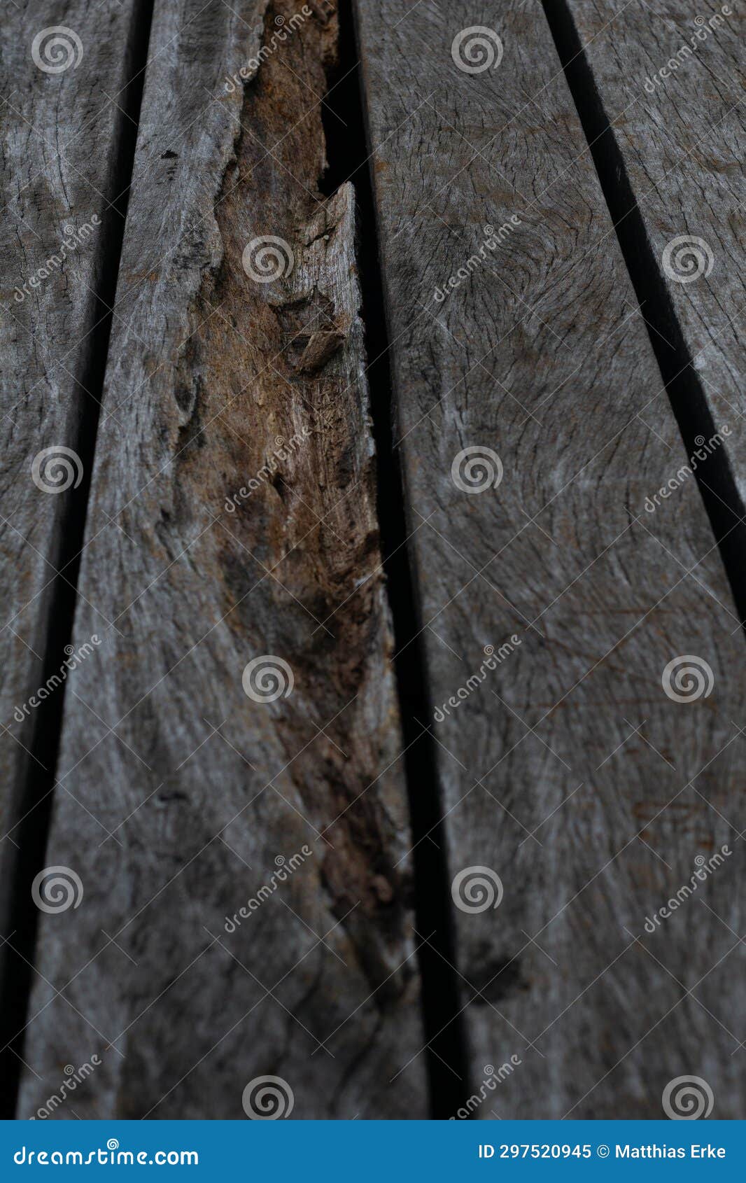 Old decayed wood planks stock image. Image of earth - 297520945