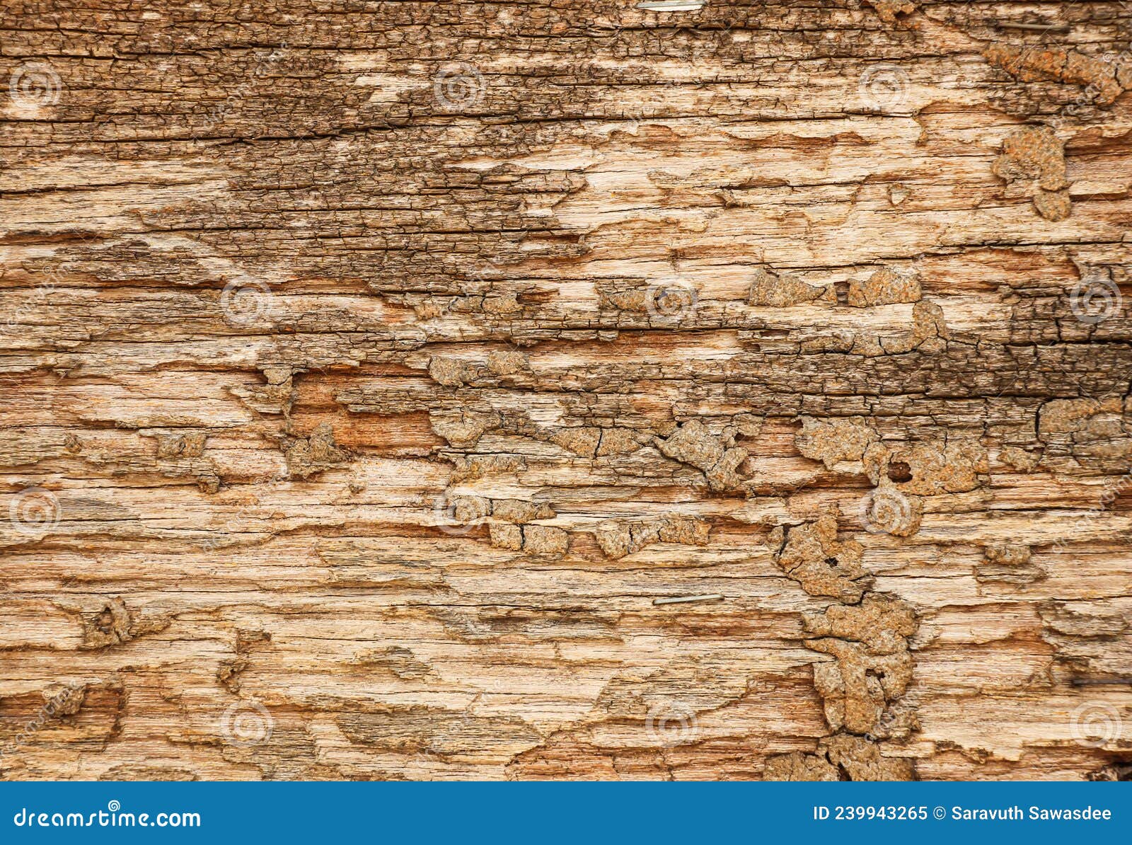 Old Decayed Wood Texture for Backgound Stock Image - Image of panel ...