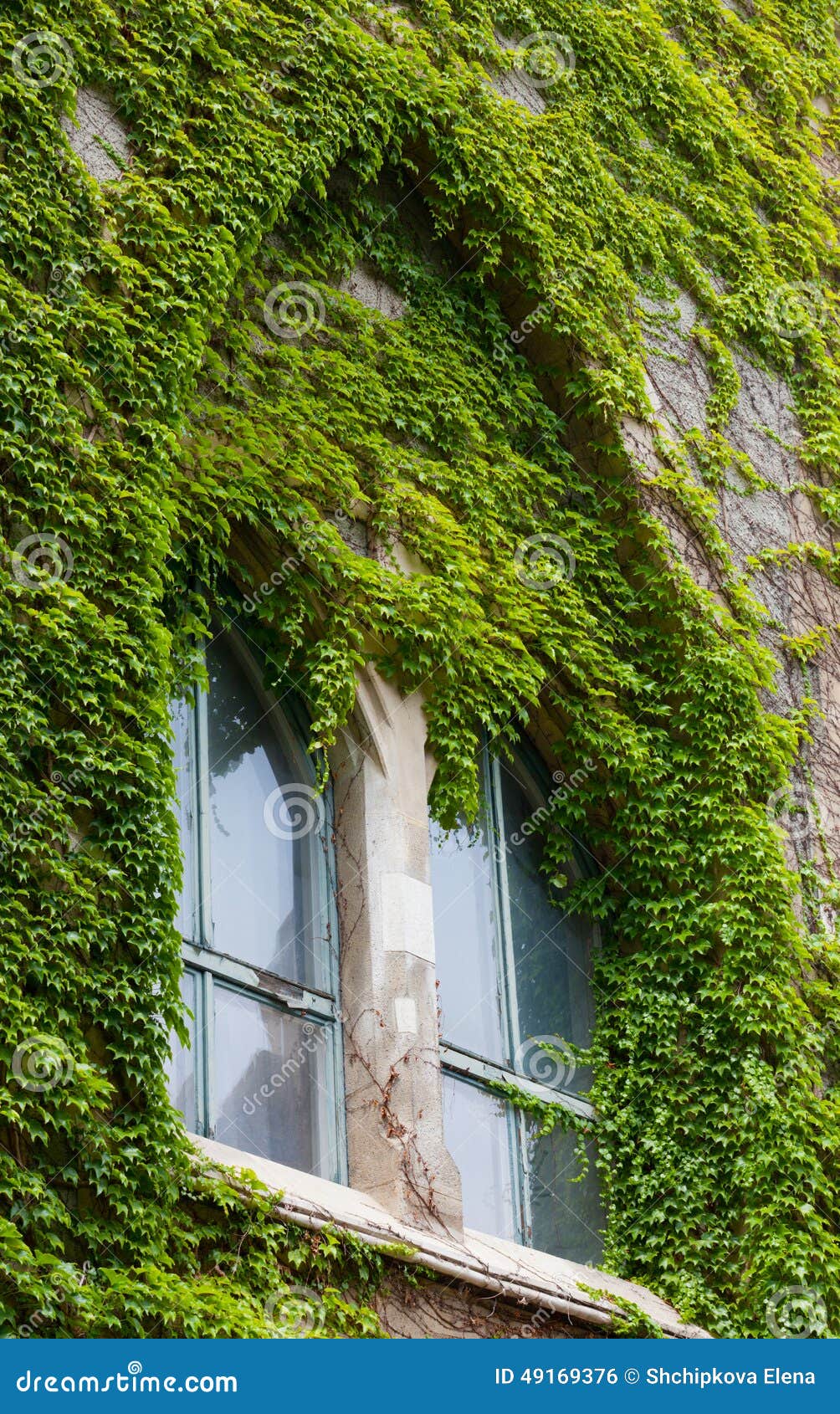 Old decorative window stock photo. Image of garden, window - 49169376
