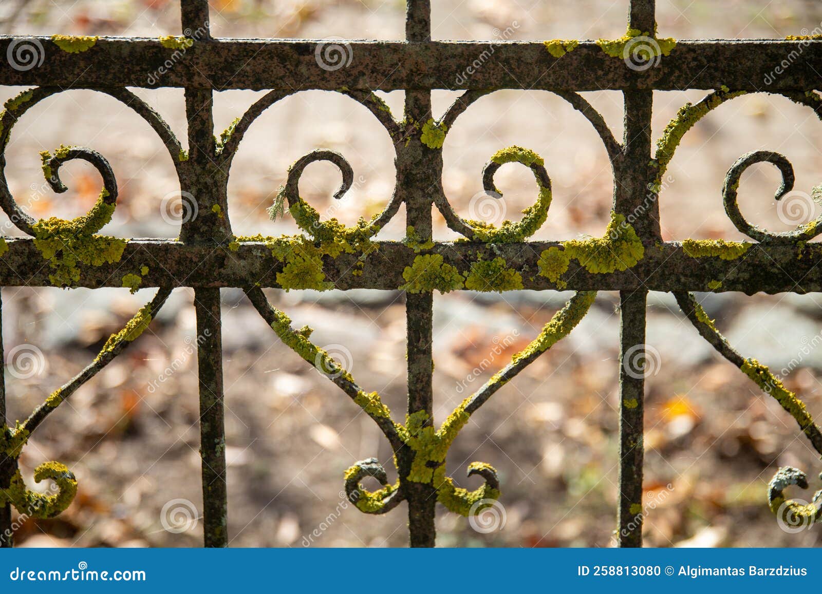 Old Decorative Wrought Iron Fence Stock Photo - Image of ornamental ...