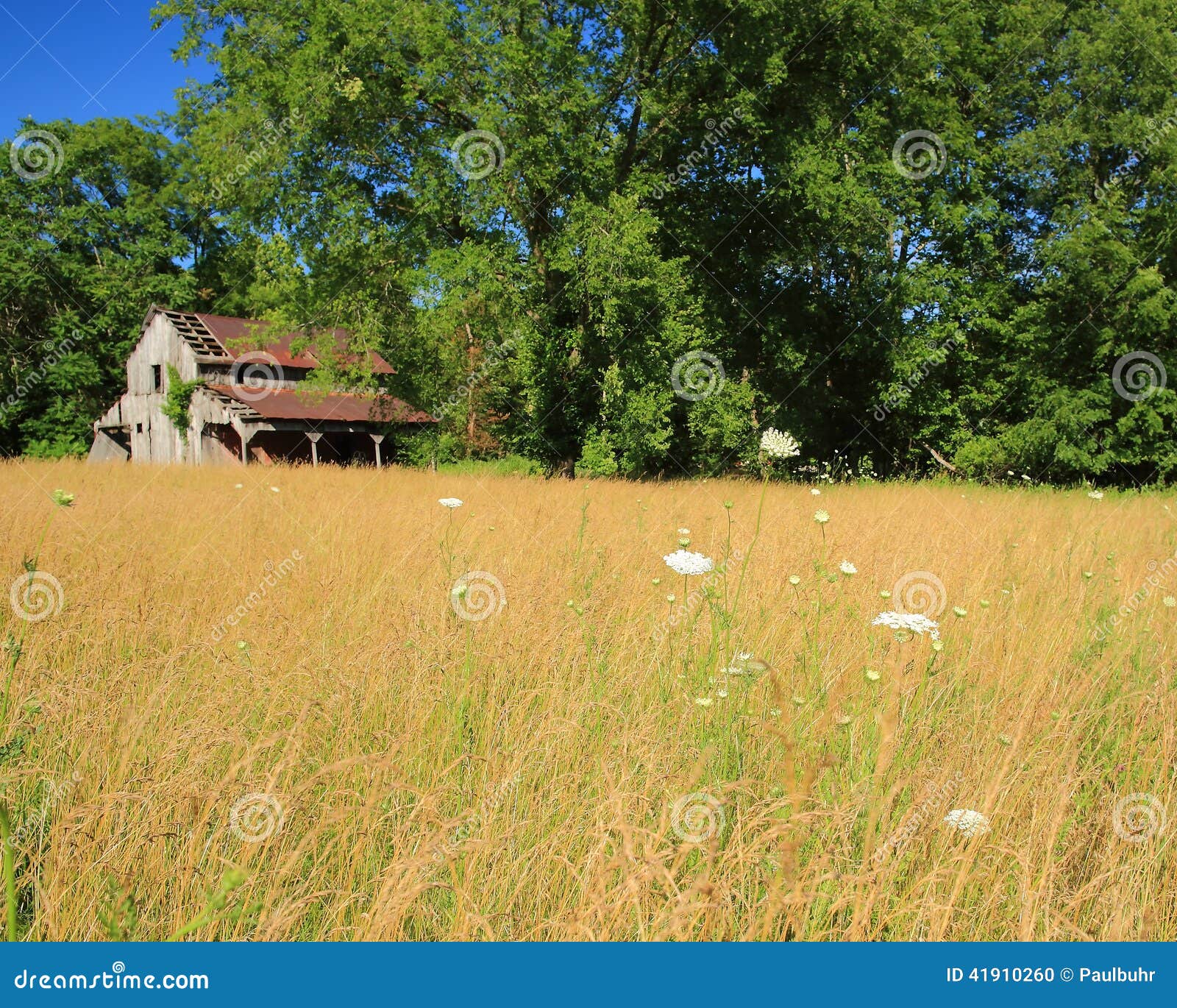 Old Decrepit Barn in Pasture Stock Photo - Image of pasture, roof: 41910260