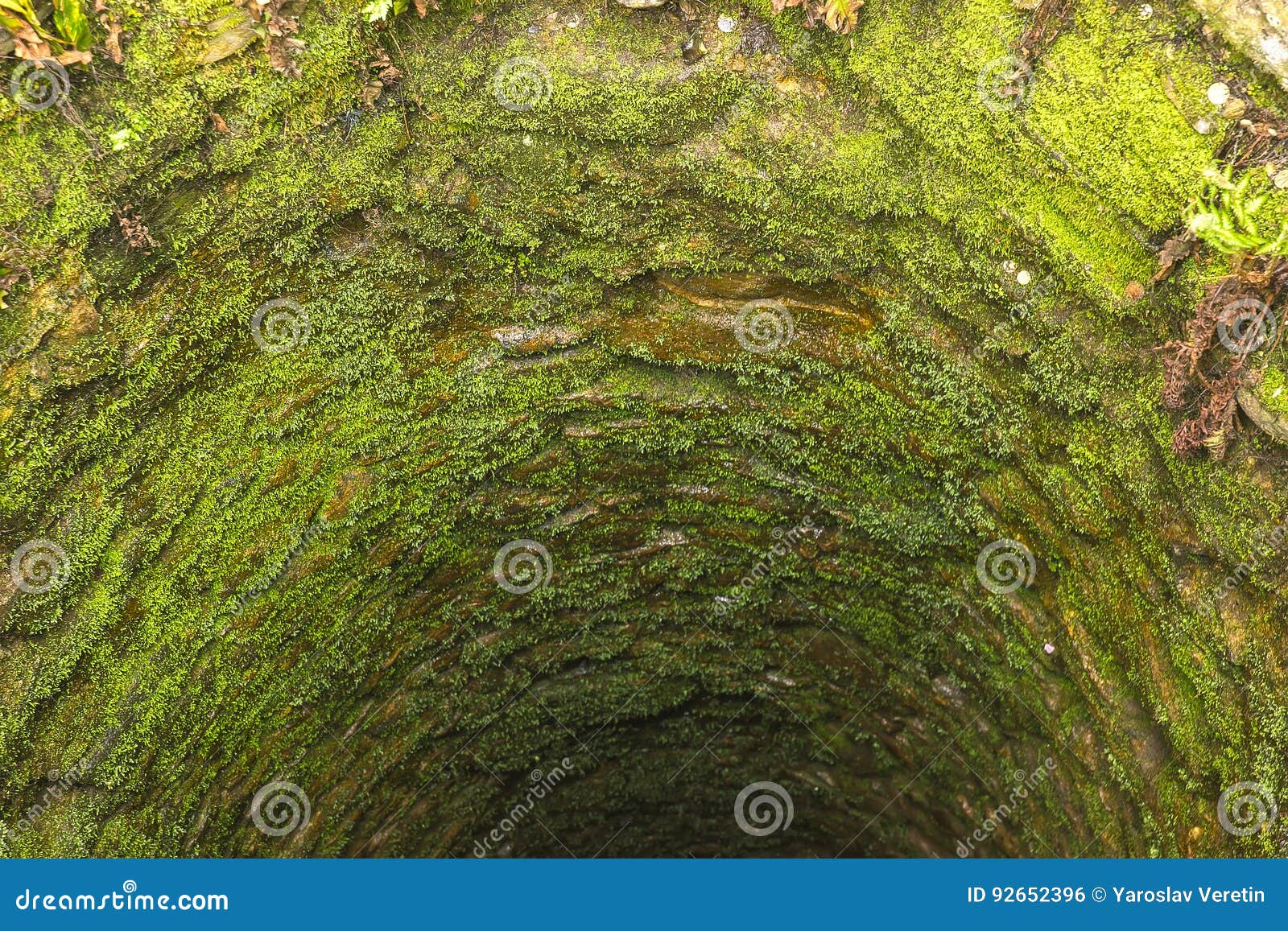 Old deep well with moss stock photo. Image of hole, forest - 92652396