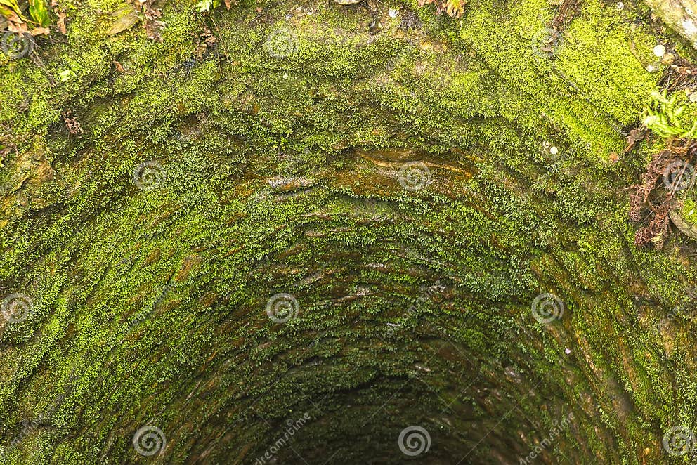 Old deep well with moss stock photo. Image of hole, forest - 92652396