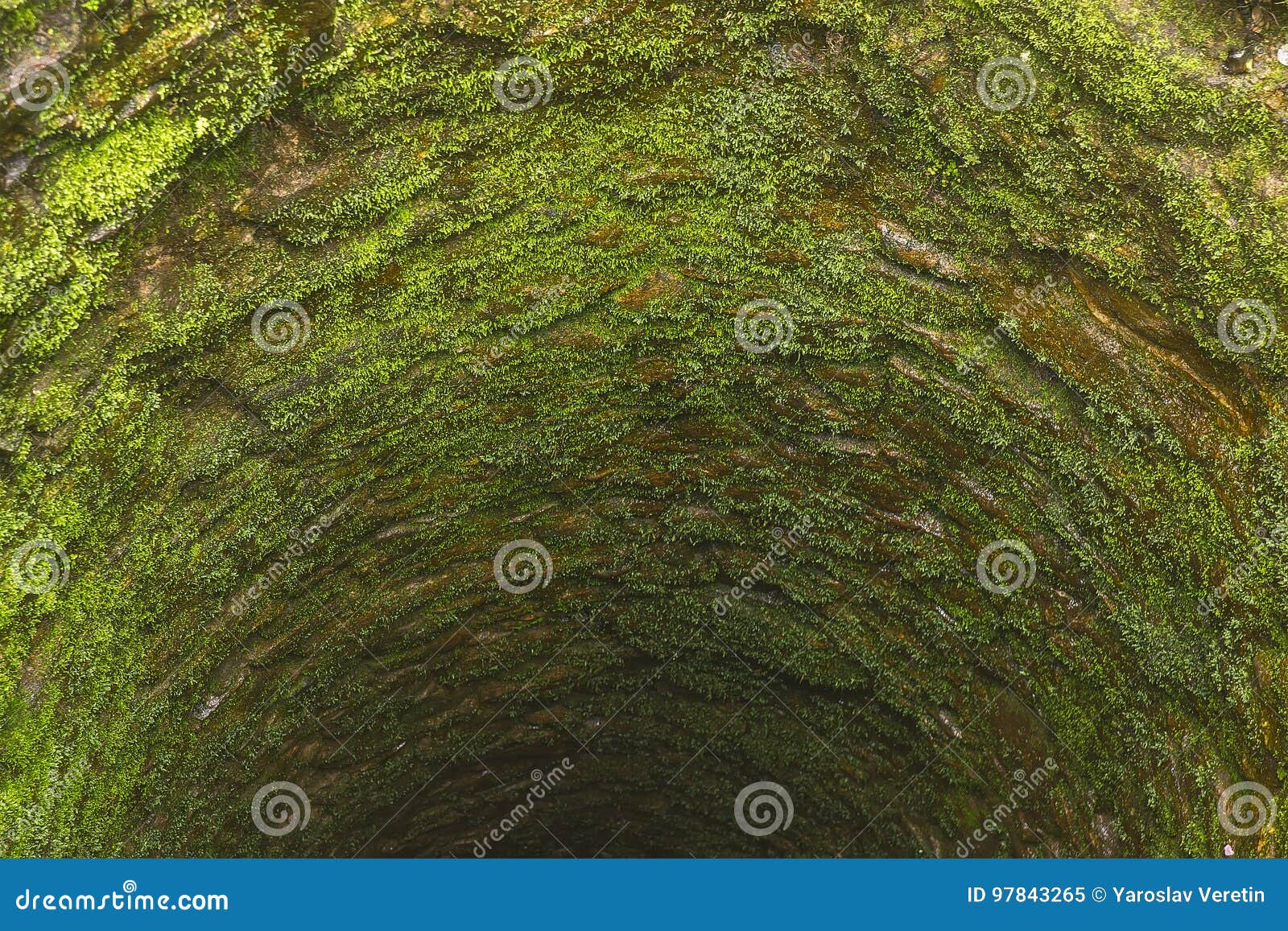 Old deep well with moss stock image. Image of abstract - 97843265