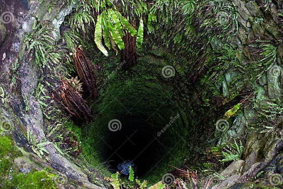 Old deep well with water stock photo. Image of gray, mystery - 13854924