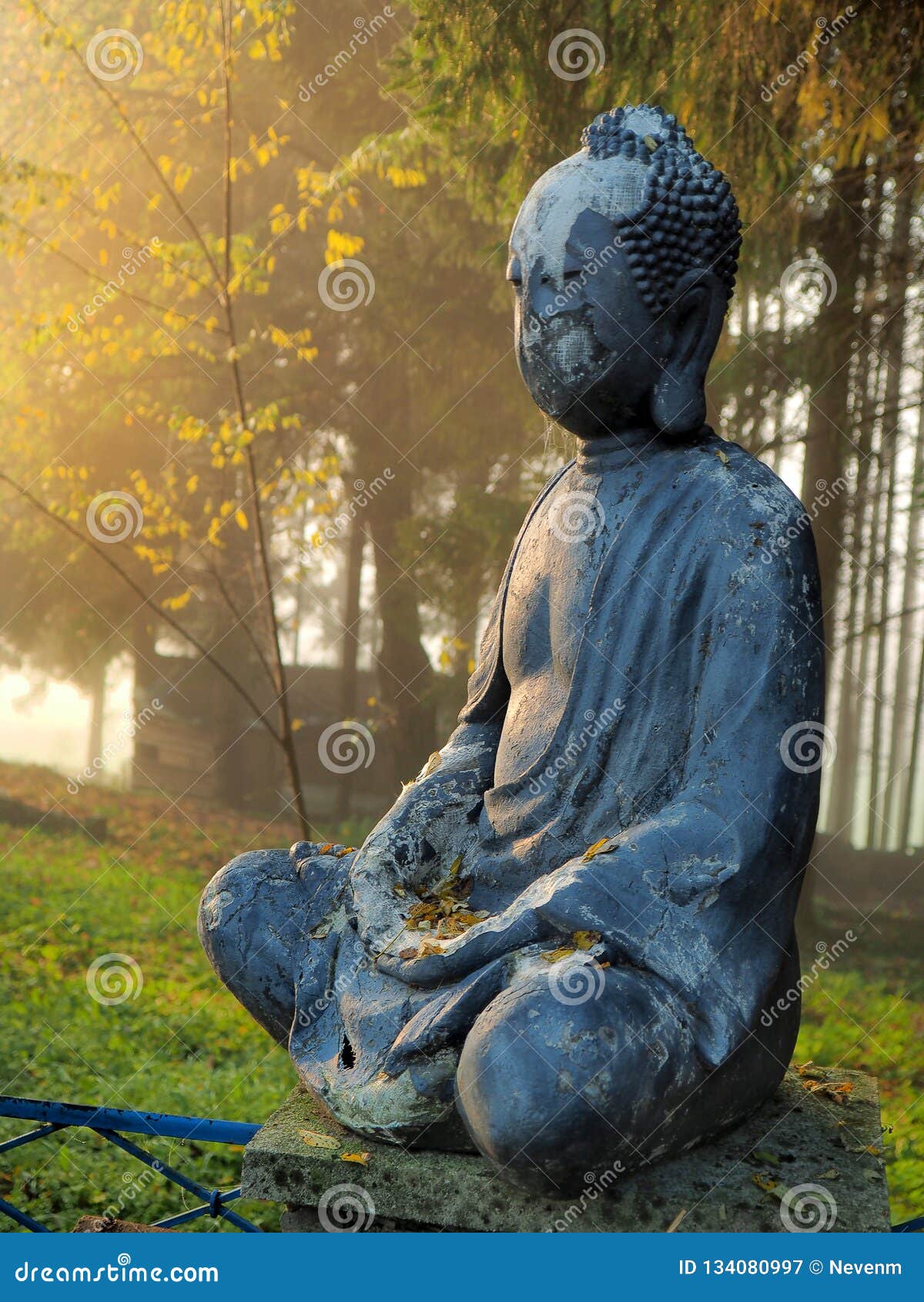 Buddha on the Entrance in the Forest Stock Image - Image of tree ...
