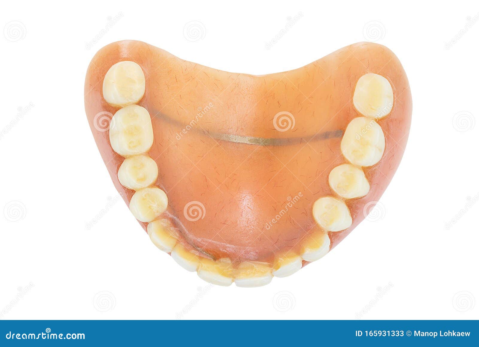 Old Dentures Isolated on White Background Stock Image - Image of ...