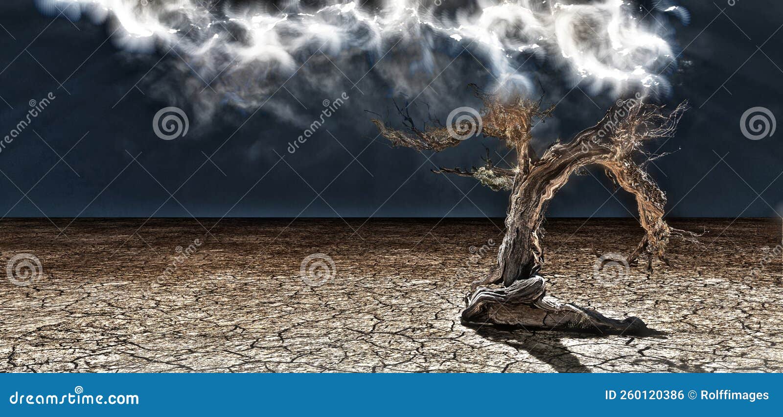Old Desert Tree stock illustration. Illustration of lonely - 260120386