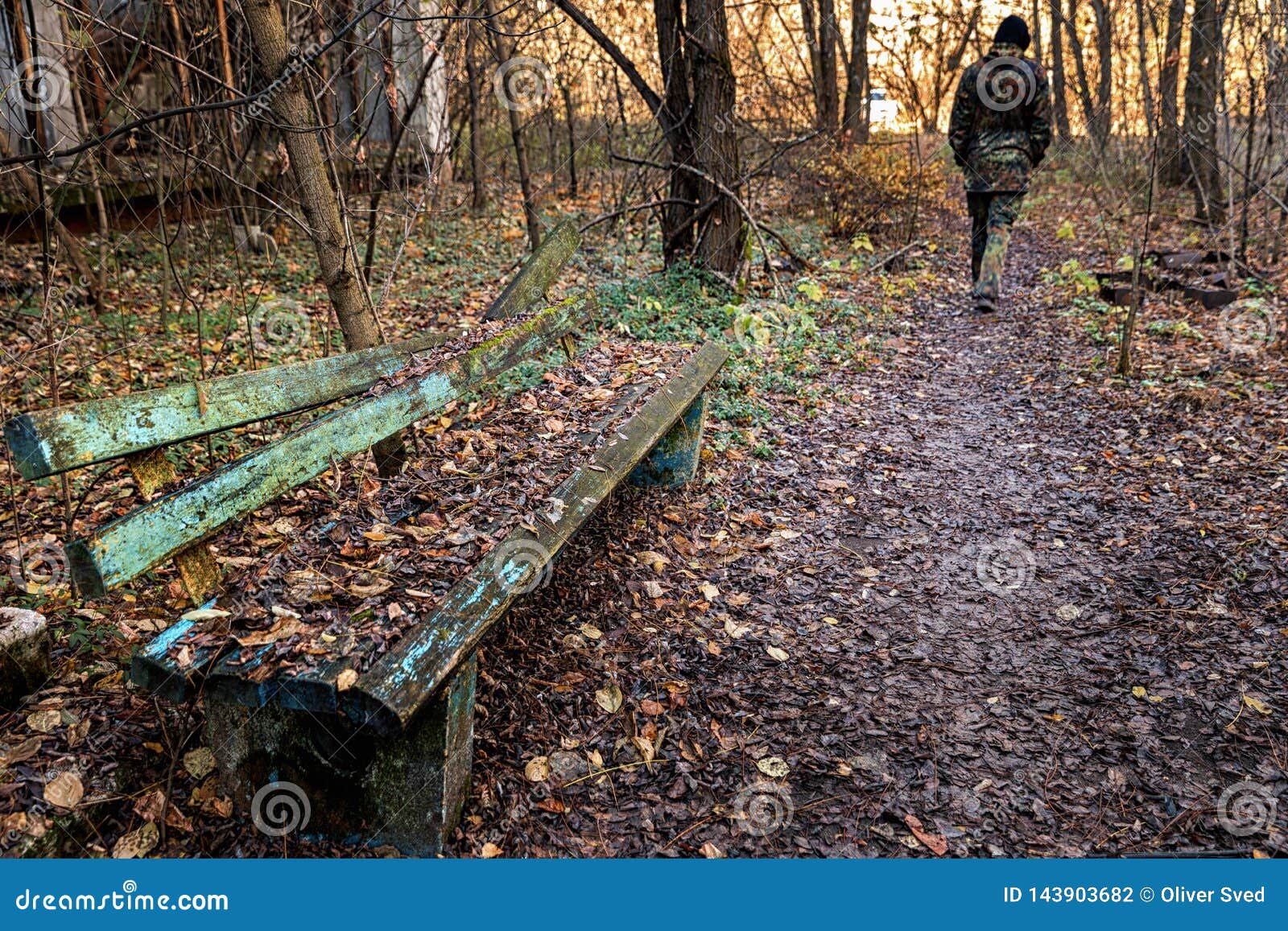 Old Destroyed Bench Next To Path Stock Photo - Image of chair, forestal ...