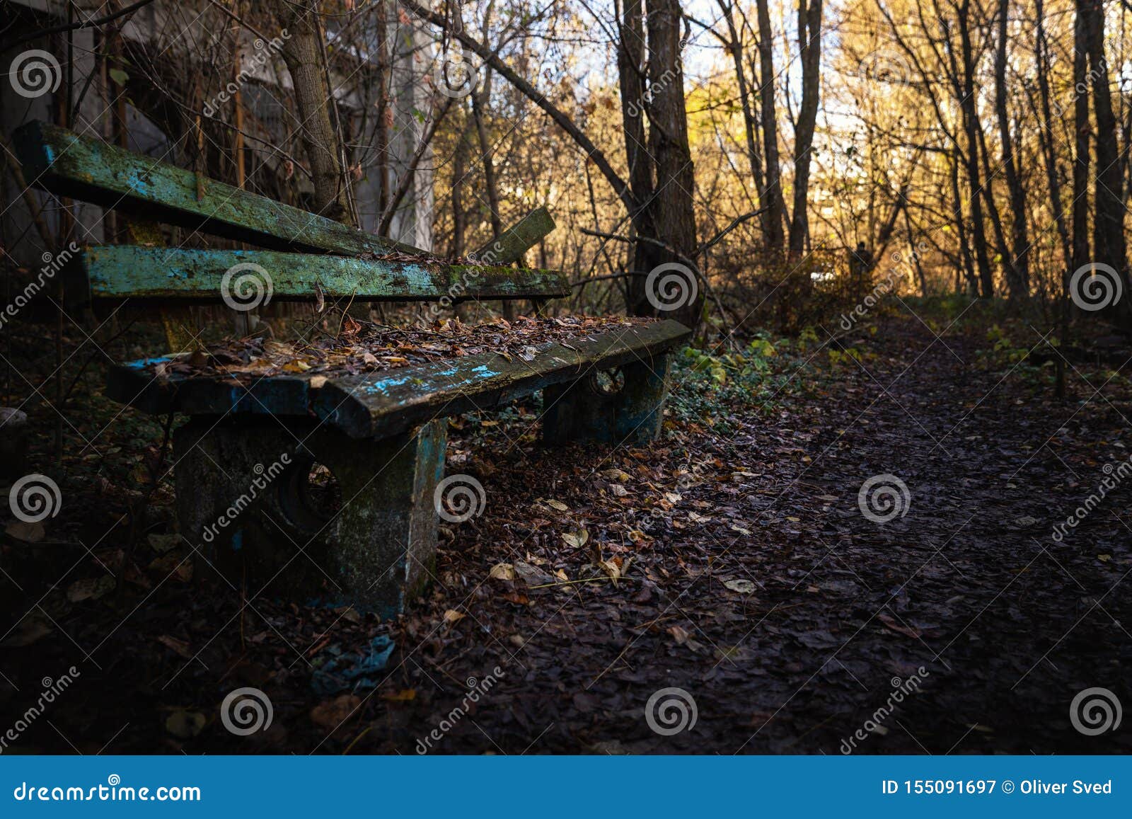 Old Destroyed Bench Next To Path Stock Image - Image of beautiful, tree ...