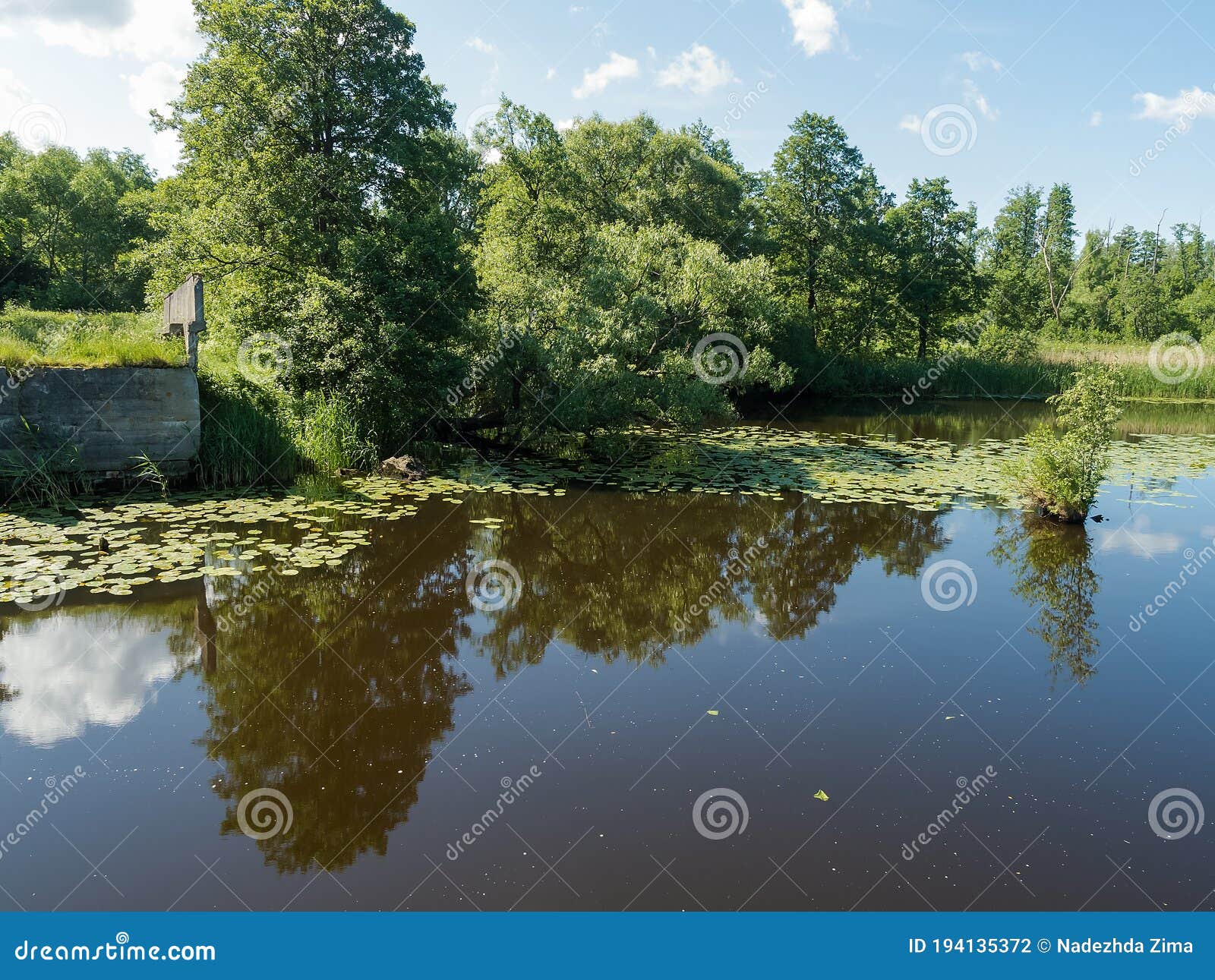 Old Destroyed Bridge Over the River, the Remains of a German Bridge on ...