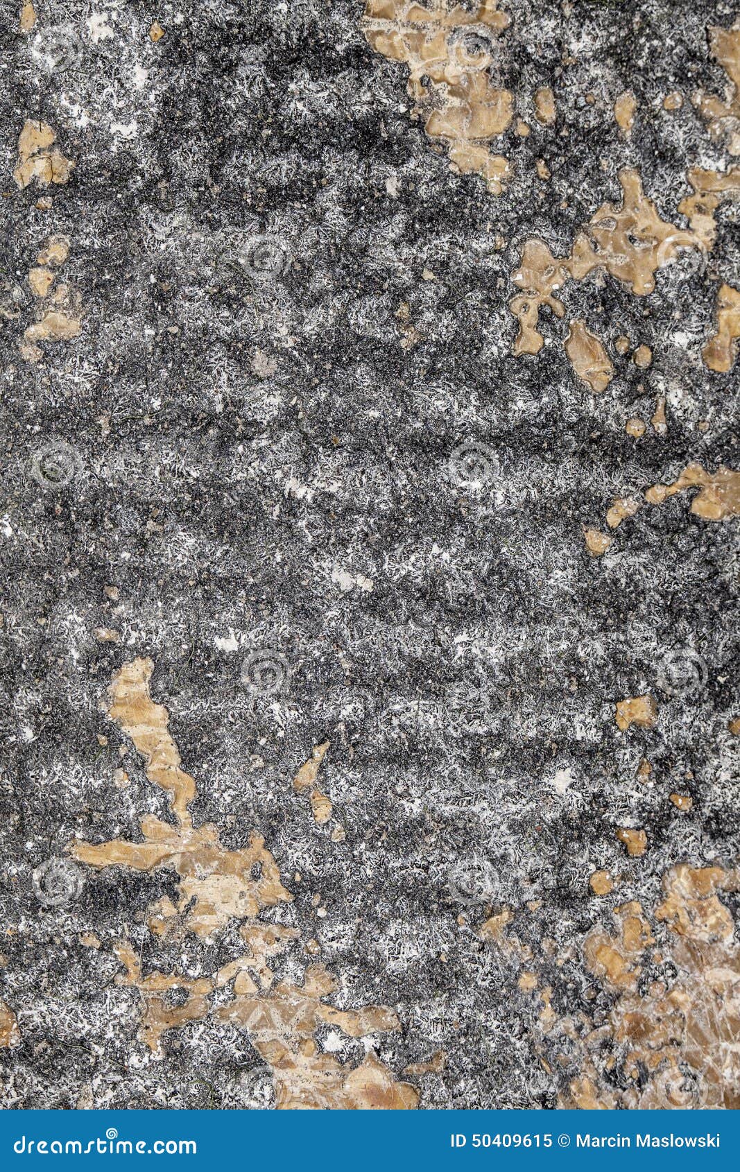 Old destroyed carpet stock image. Image of carpet, closeup - 50409615