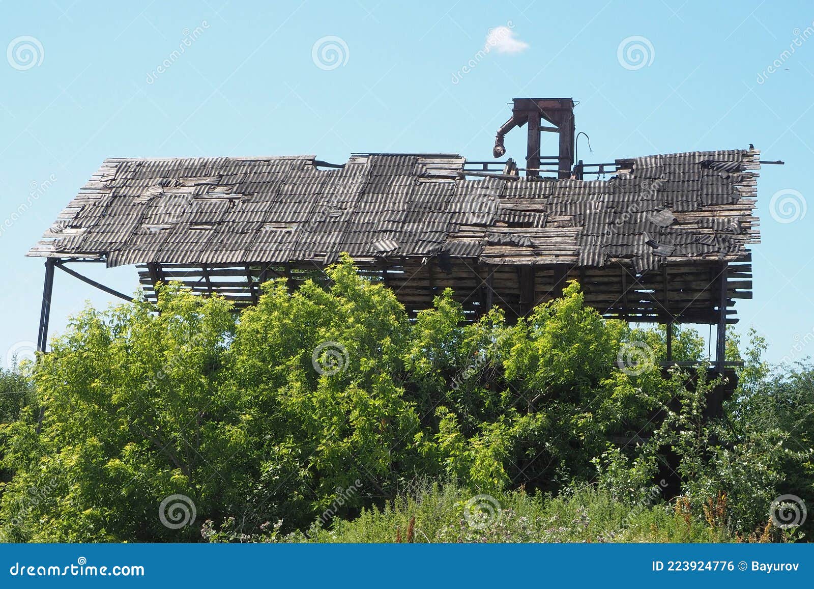 Old Destroyed Granary Building in the Mouth of Plants Stock Photo ...