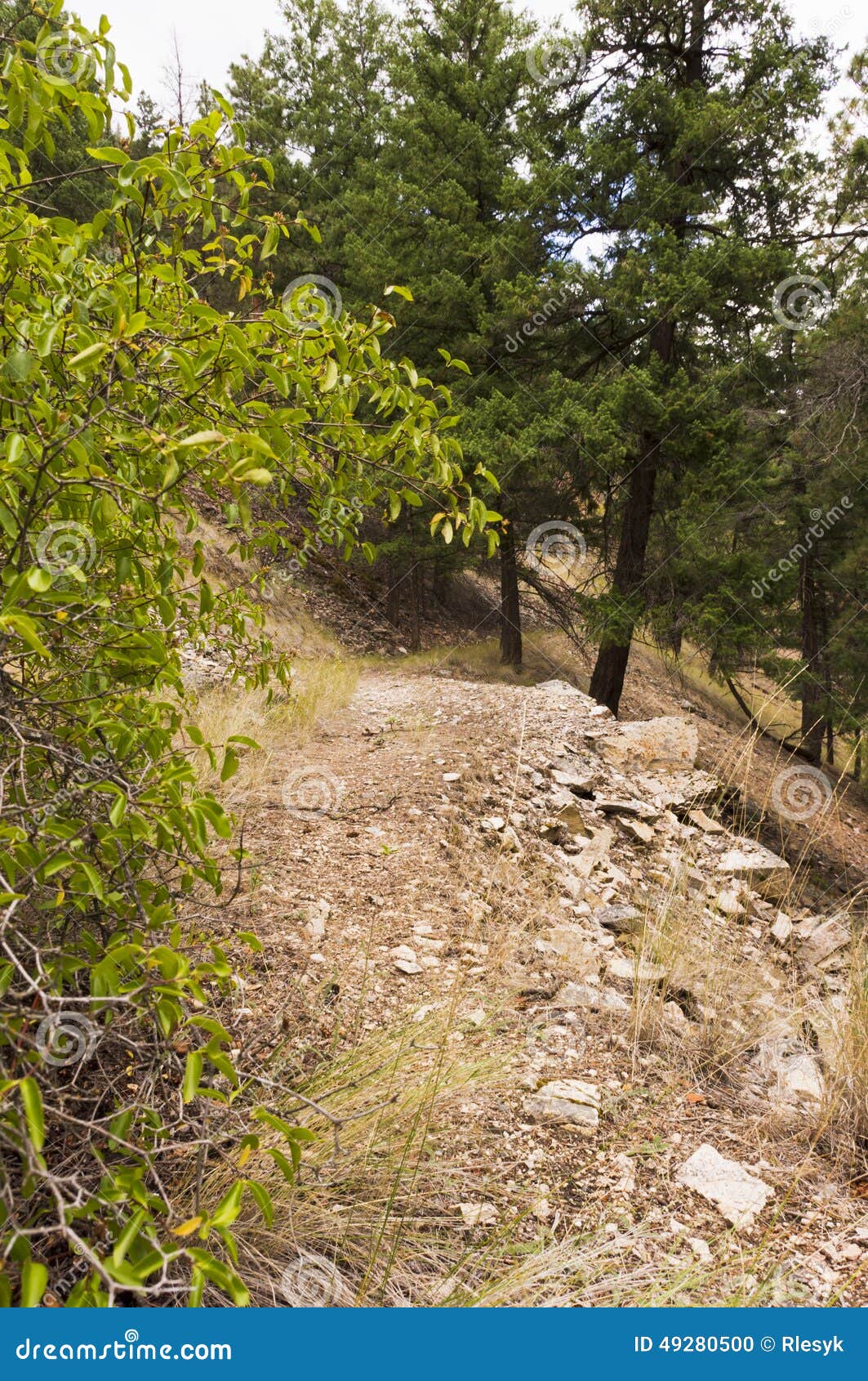 Old Dewdney Trail stock photo. Image of countryside, nature - 49280500