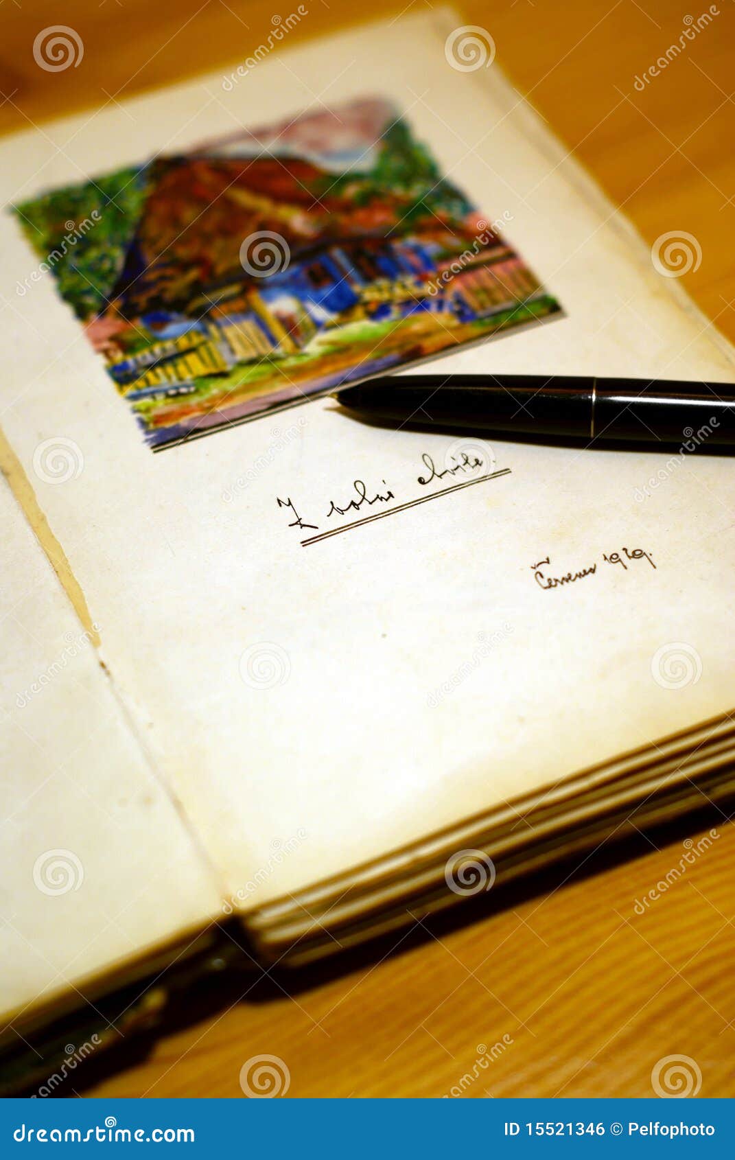 Old diary stock photo. Image of diaries, lodge, enrolment - 15521346