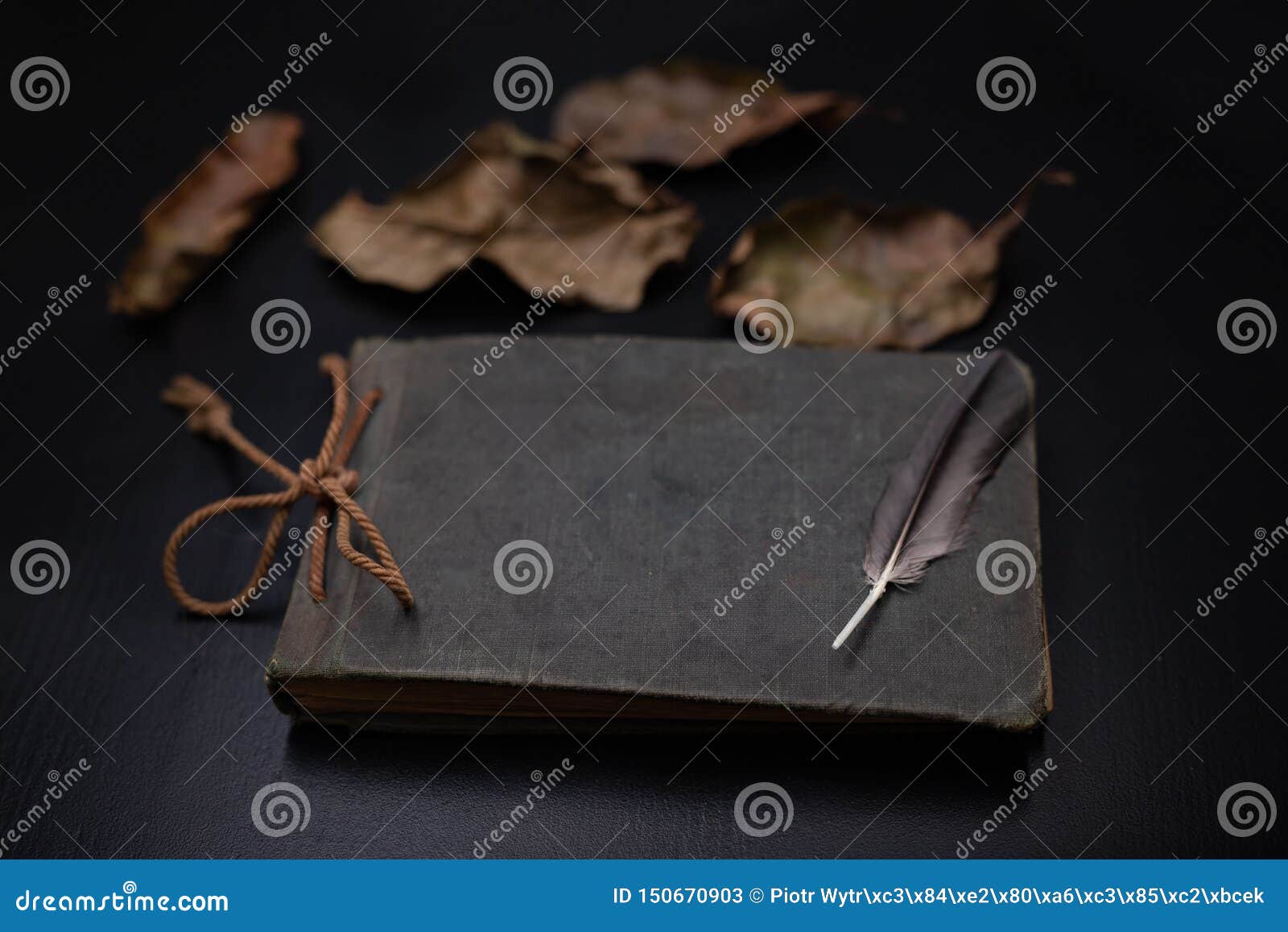 An Old Diary with Stained Pages and a Small Bird& X27;s Feather ...