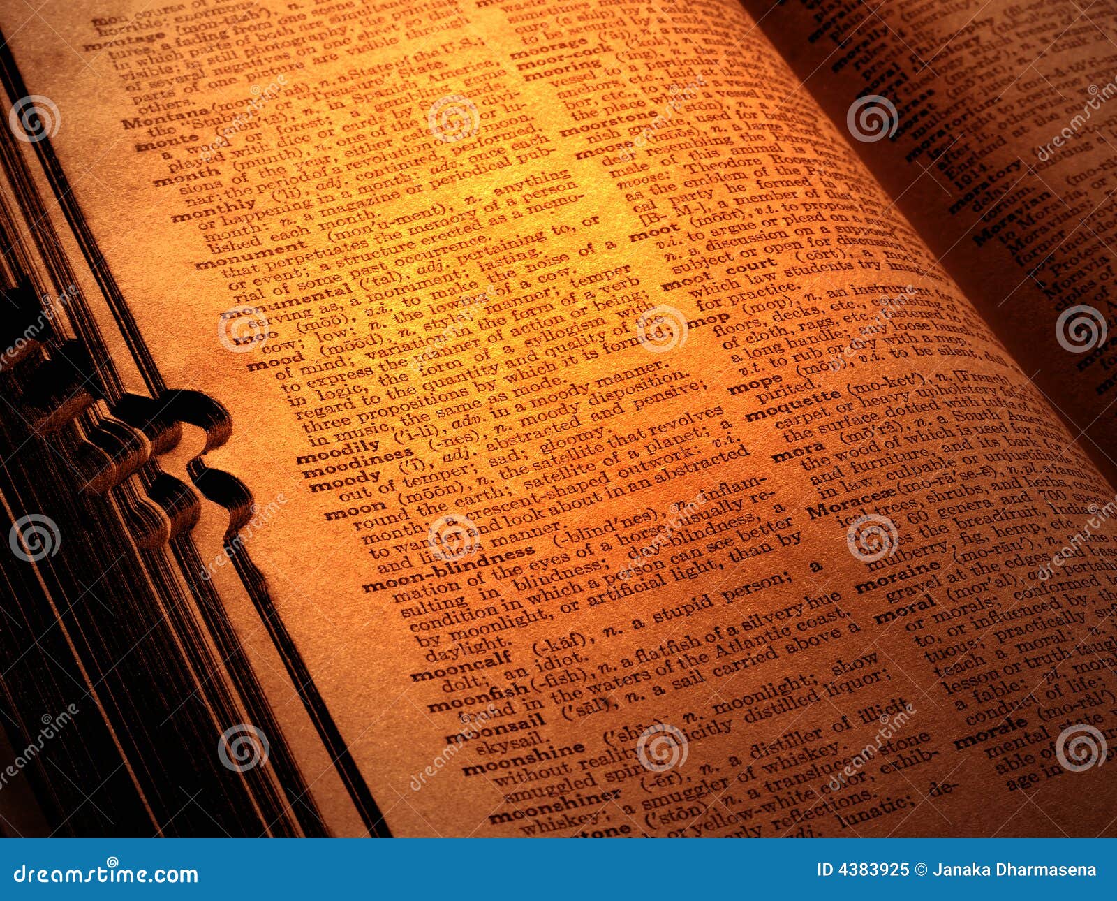 Old dictionary stock image. Image of antique, bindings - 4383925
