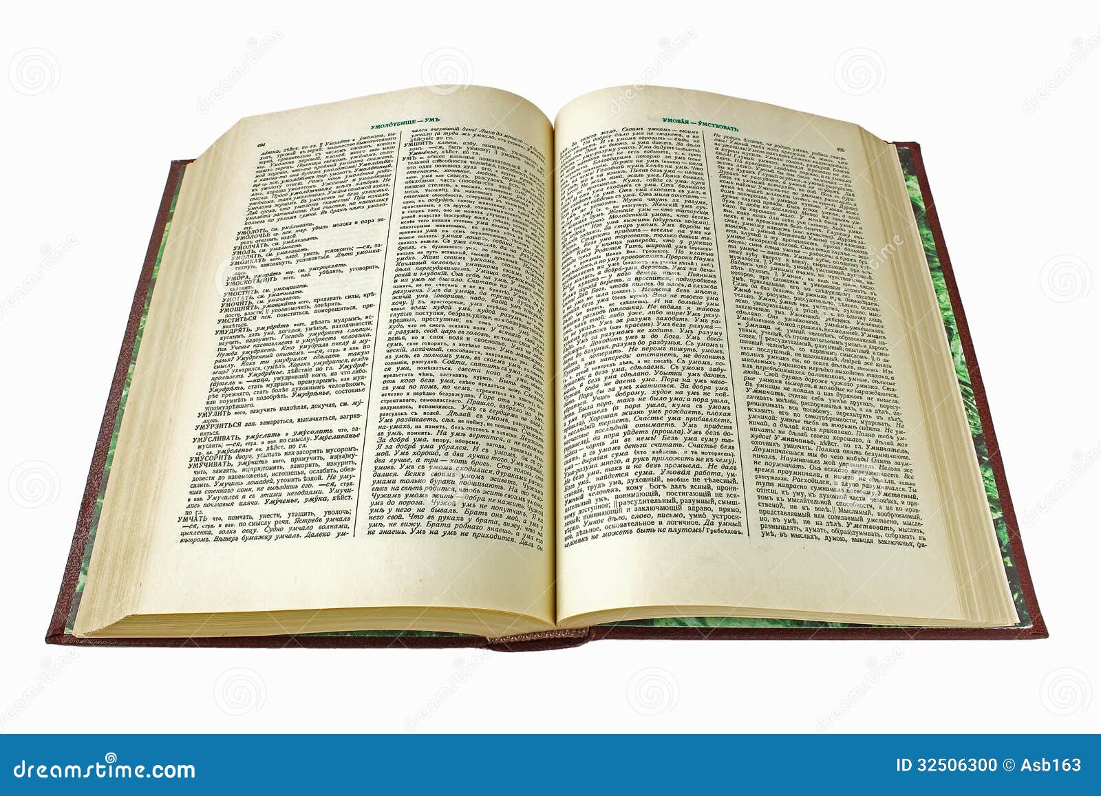 Old dictionary stock photo. Image of dictionary, book - 32506300