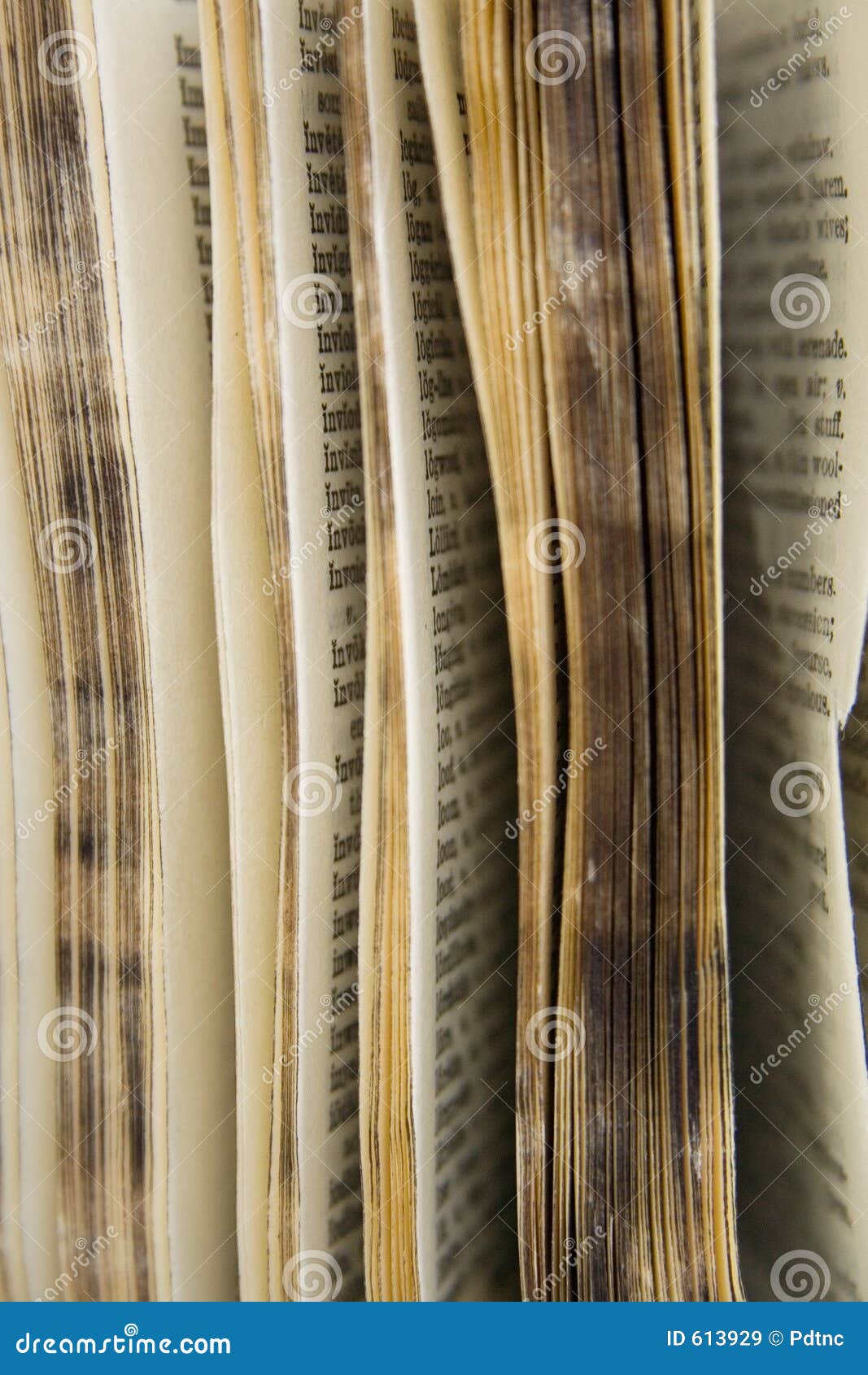 Old Dictionary Series stock image. Image of paper, dictionary - 613929