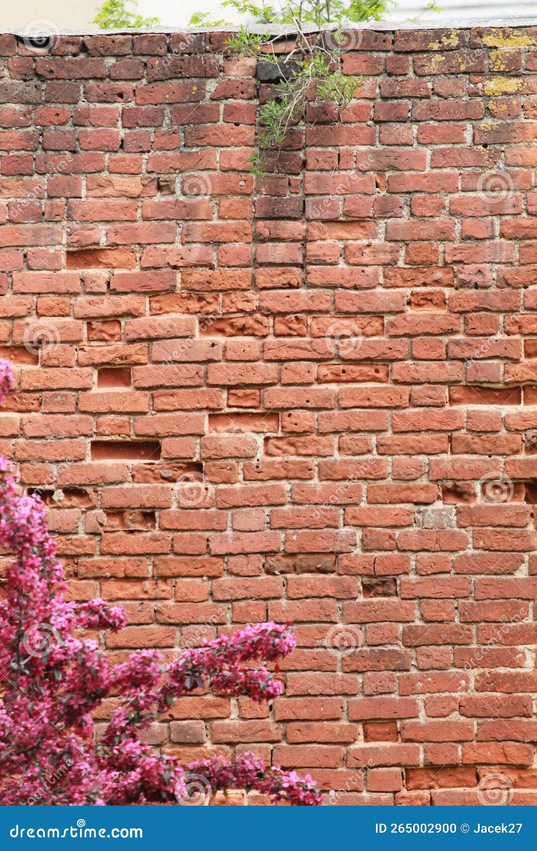 Old dilapidated building stock photo. Image of rock - 265002900