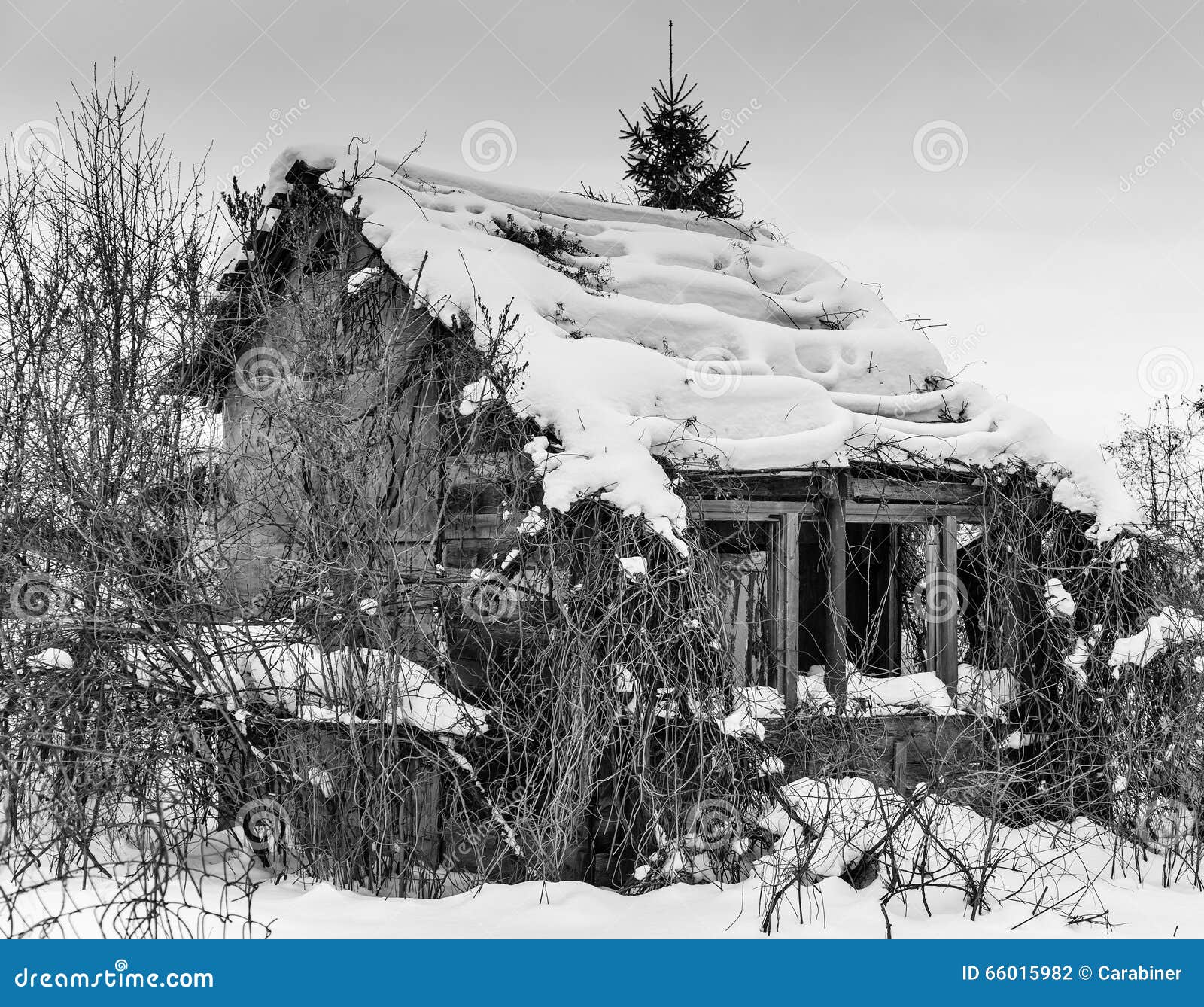 Old Dilapidated House in Winter Stock Photo - Image of wooden, farm ...