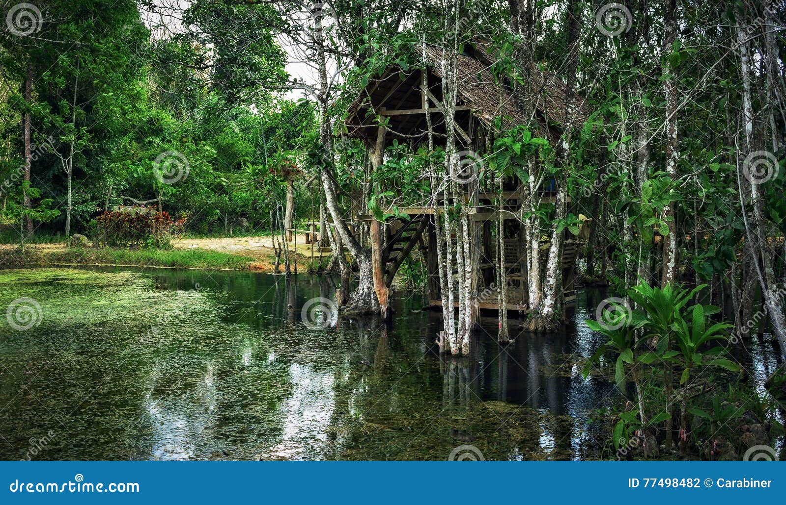 Old Dilapidated Shack on Stilts in the Jungle Stock Photo - Image of ...