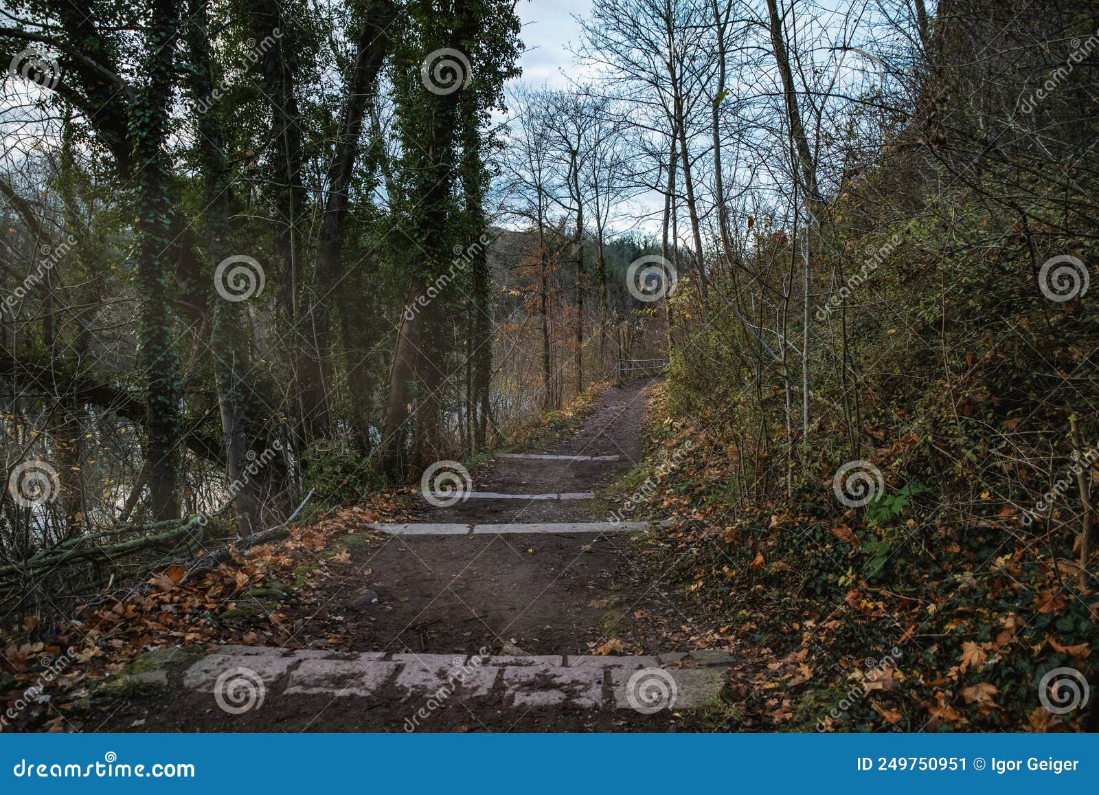 Old Dirt Road in the Forest Along the River Stock Image - Image of ...