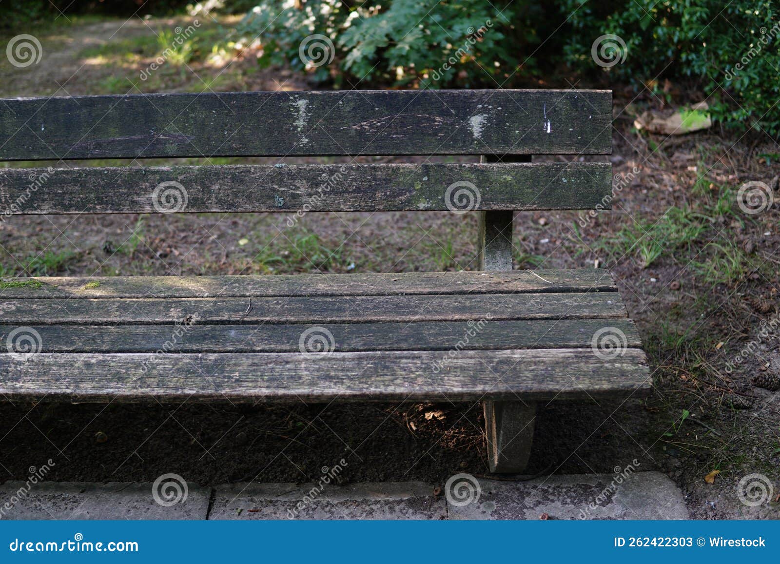 Old dirty bench in a park stock image. Image of garden - 262422303