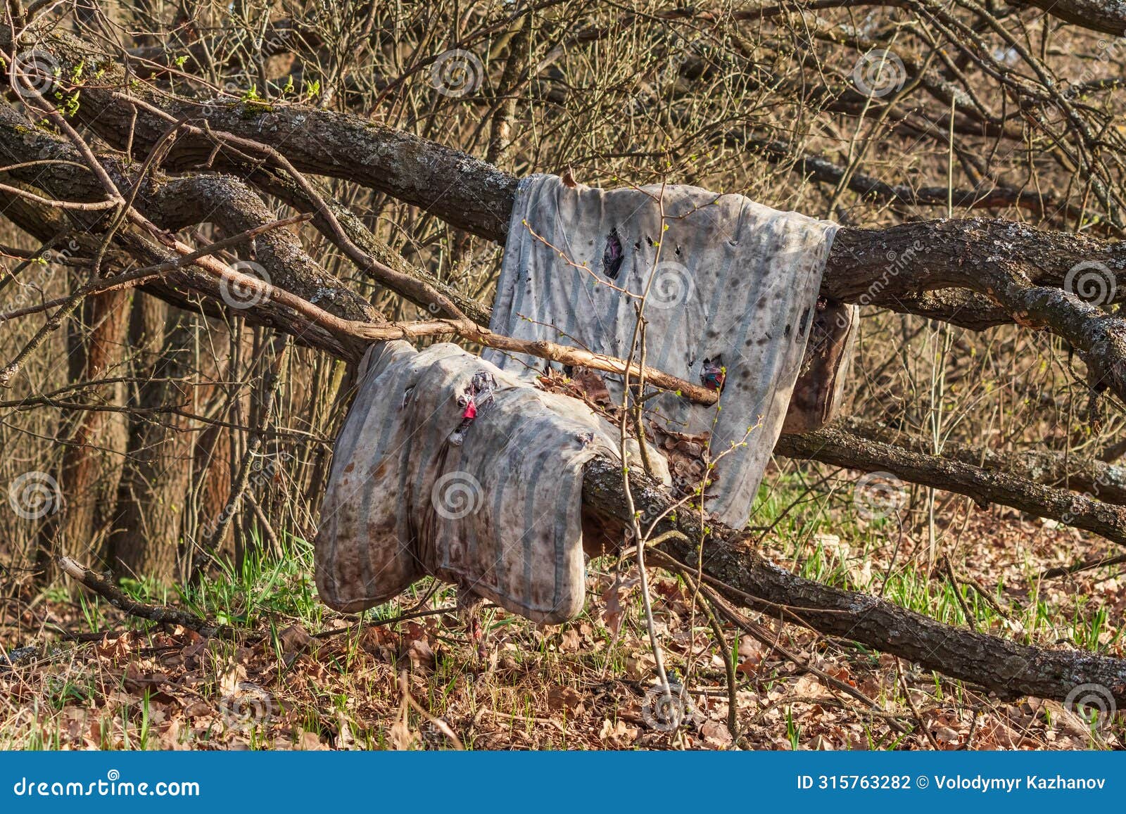 An Old Dirty and Rotten Mattress Hangs on the Branches of a Tree ...
